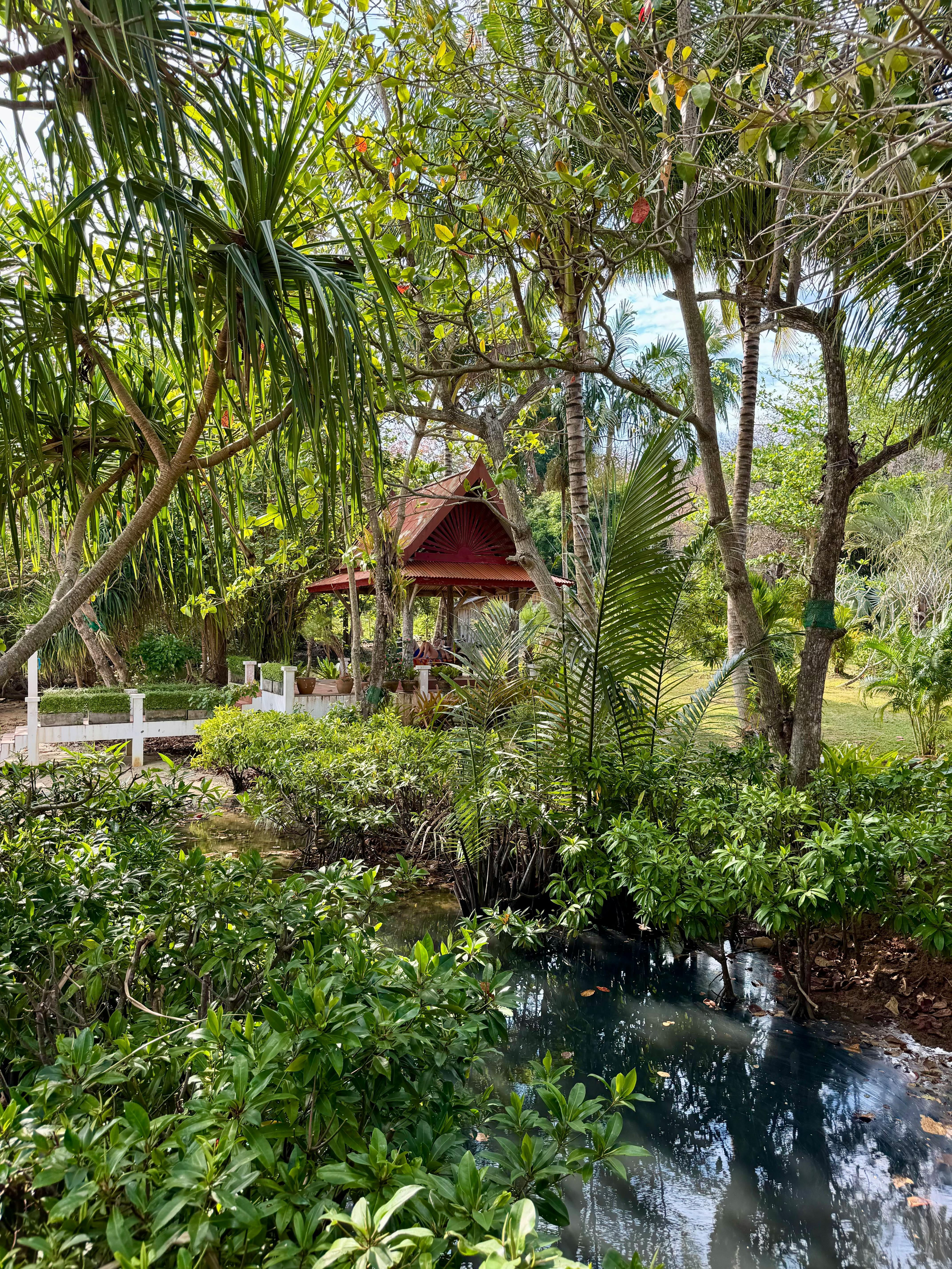 Serene Tropical Garden with Rustic Pavilion · Free Stock Photo