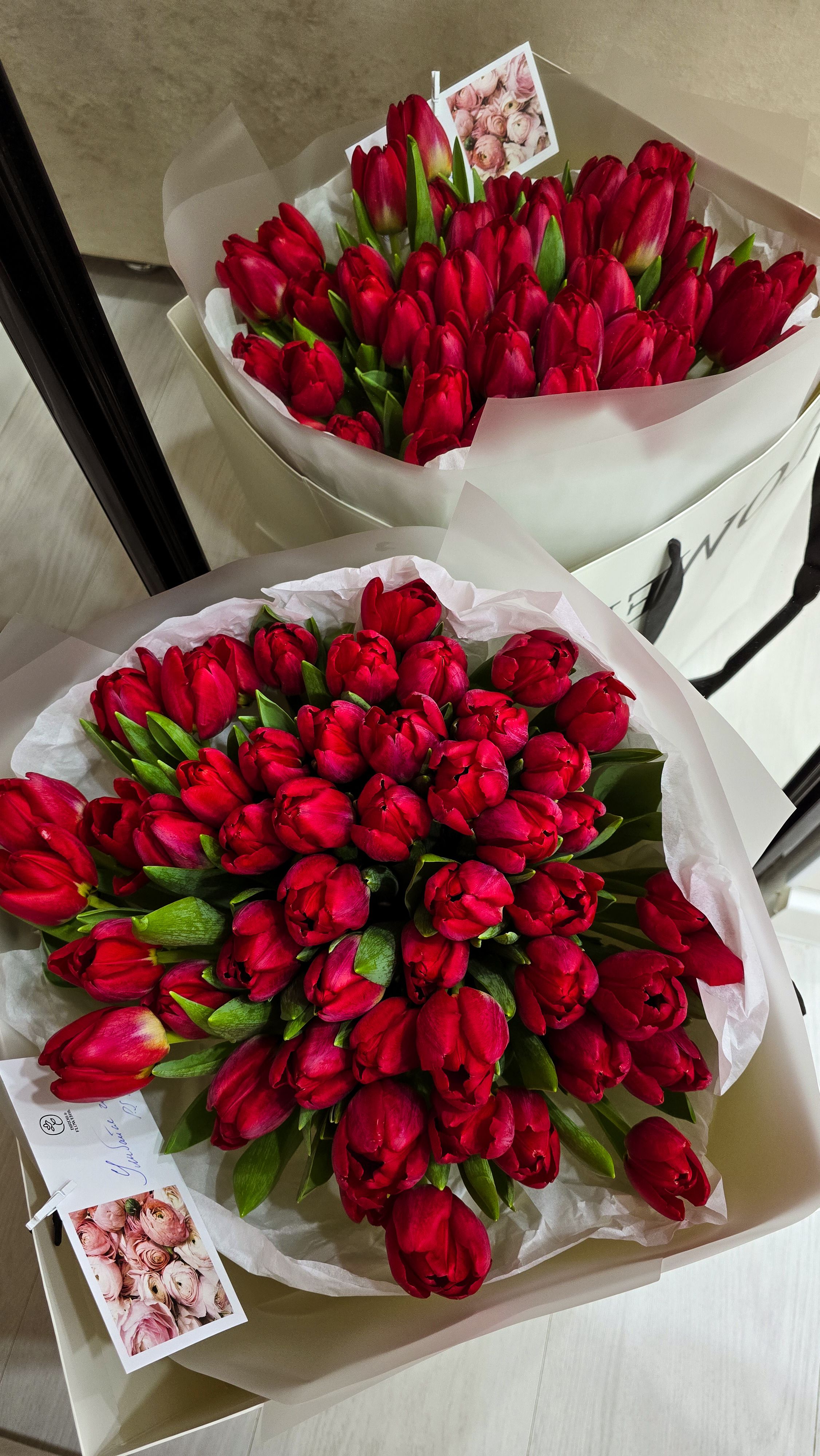 Elegant Bouquet of Red Tulips in Gift Box · Free Stock Photo