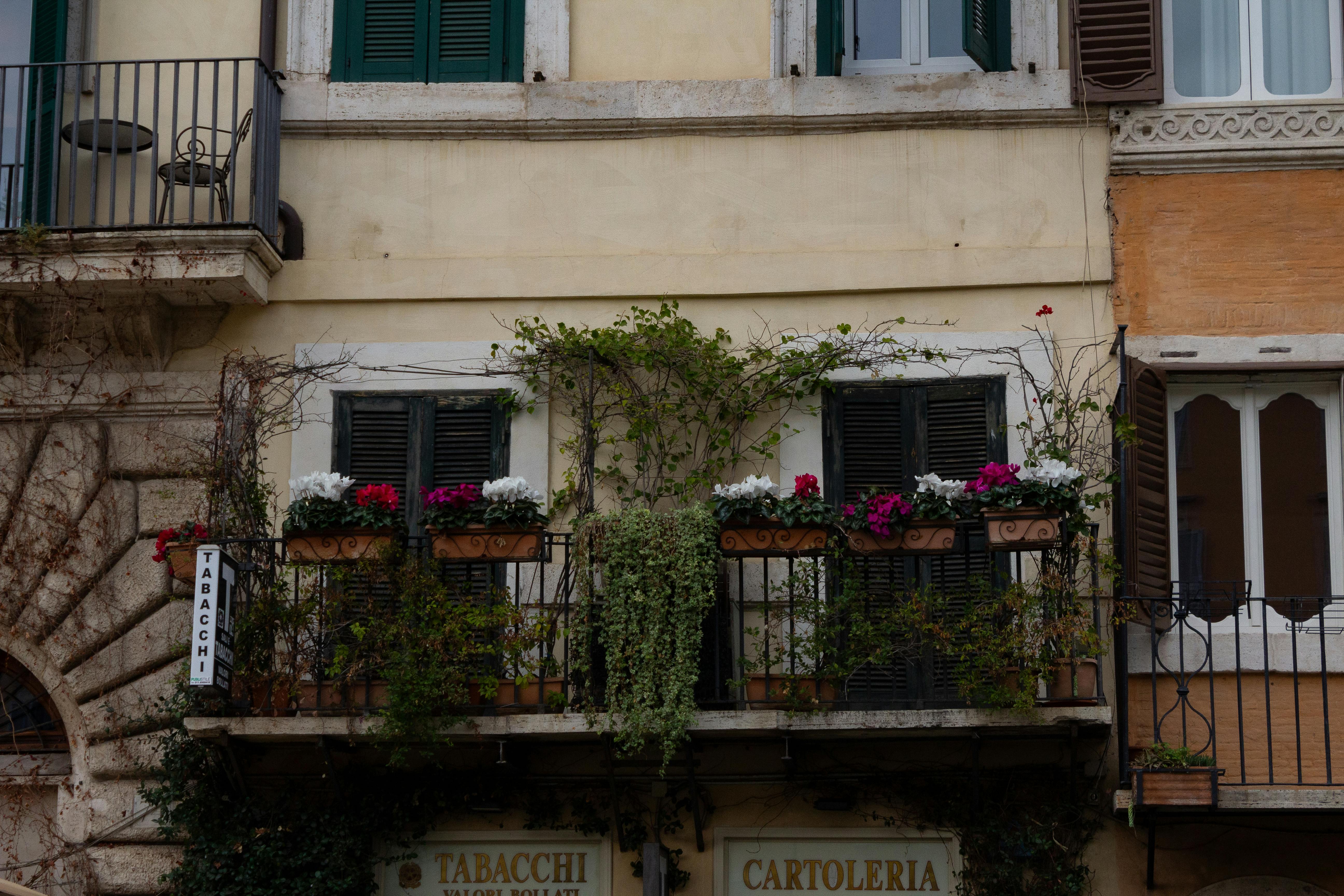 Ancient Rome Terrace Photos, Download The BEST Free Ancient Rome ...