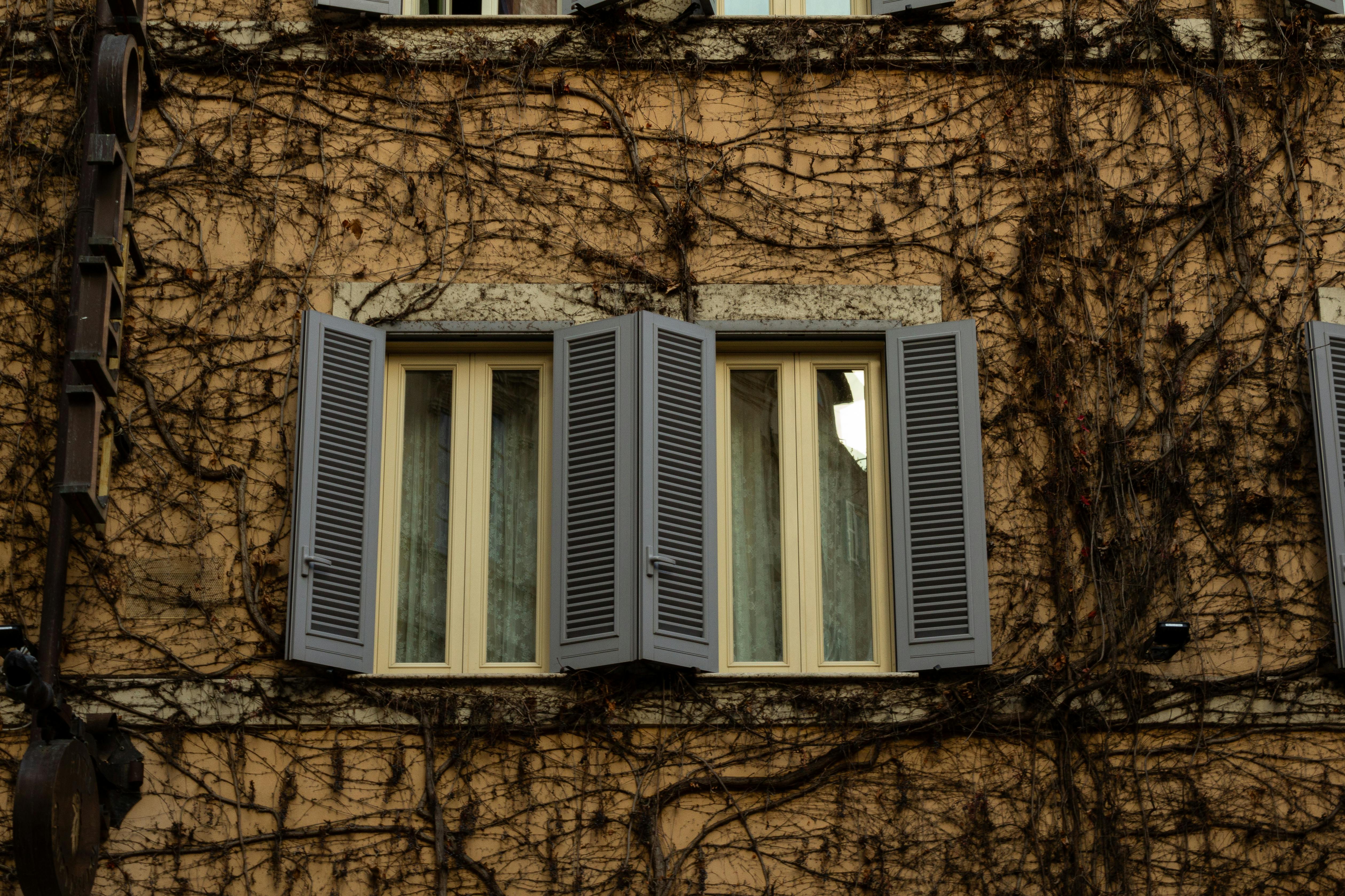 Xix Century Photos, Download The BEST Free Xix Century Stock Photos ...