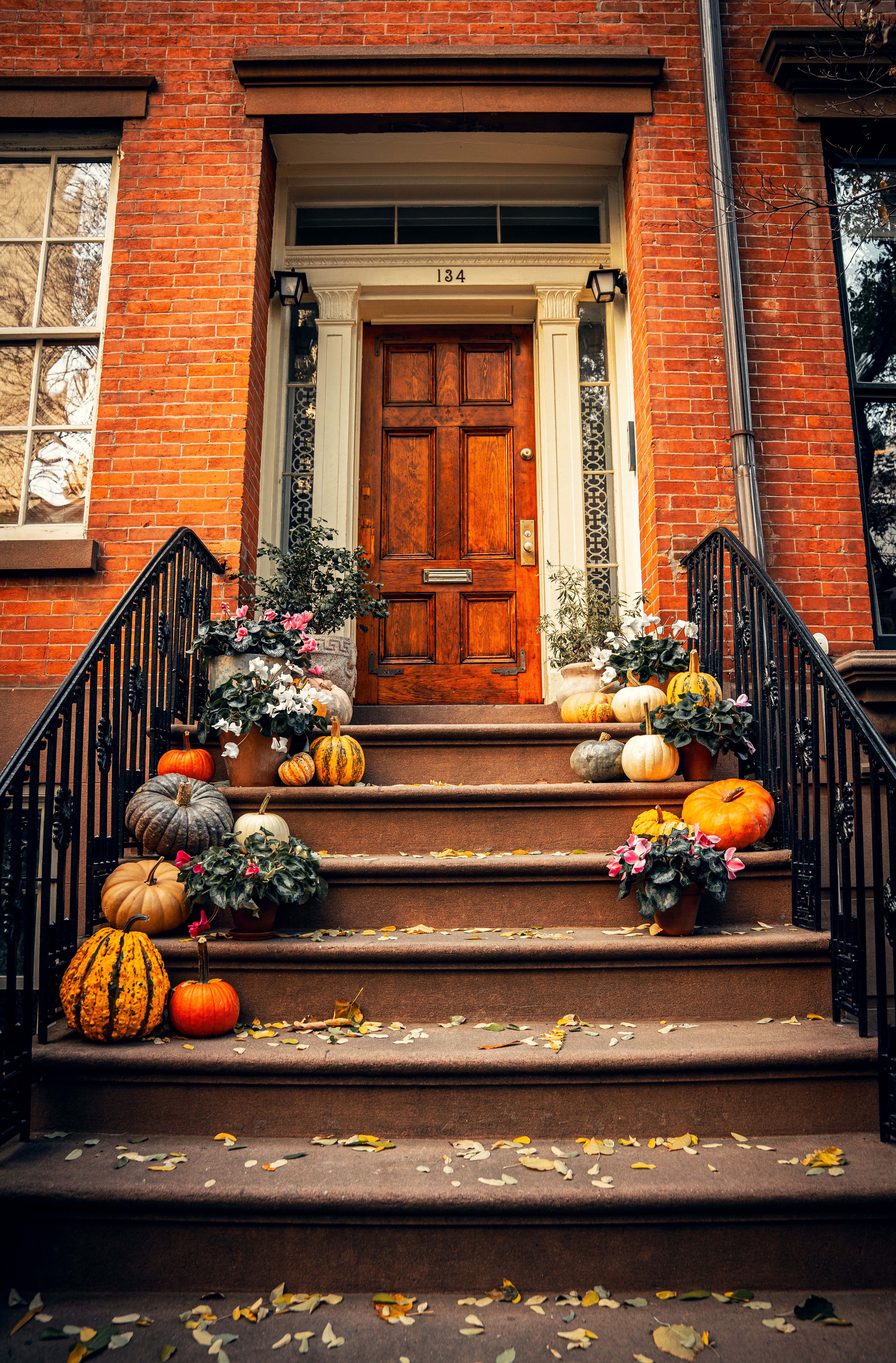 Autumn Decorated Brownstone Entrance in New York · Free Stock Photo