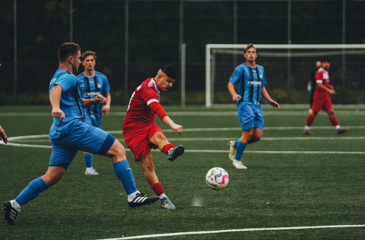 Soccer Team Photos, Download The BEST Free Soccer Team Stock Photos ...