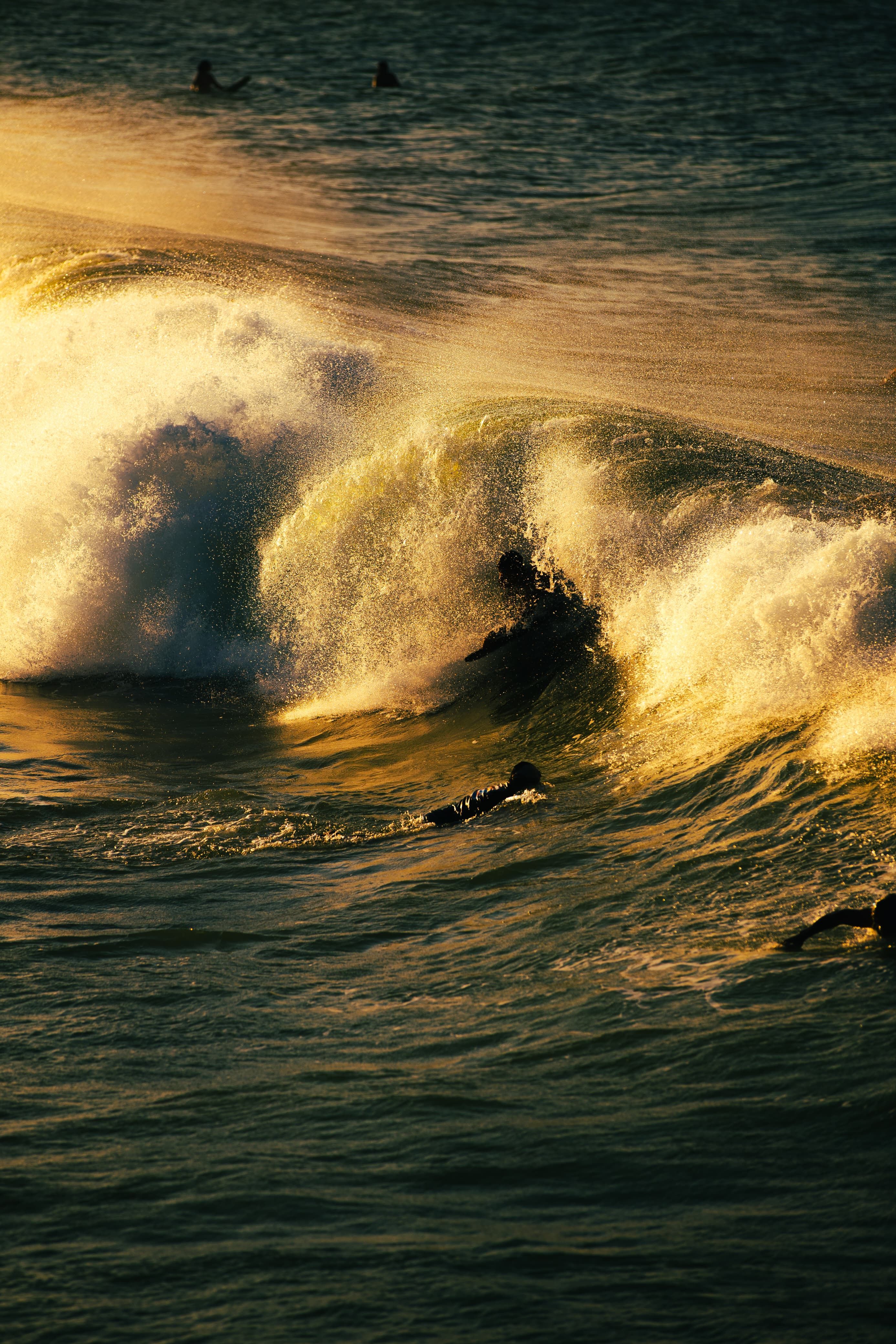 Surfer Riding Golden Waves at Sunrise · Free Stock Photo