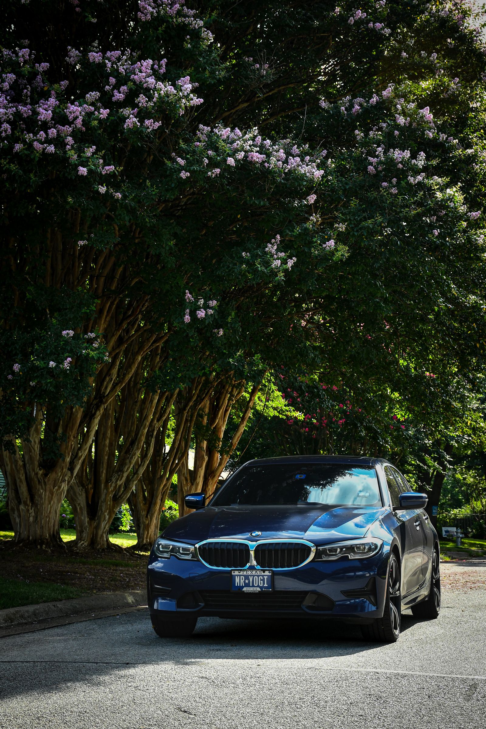Bmw M3 Photos, Download The BEST Free Bmw M3 Stock Photos & HD Images