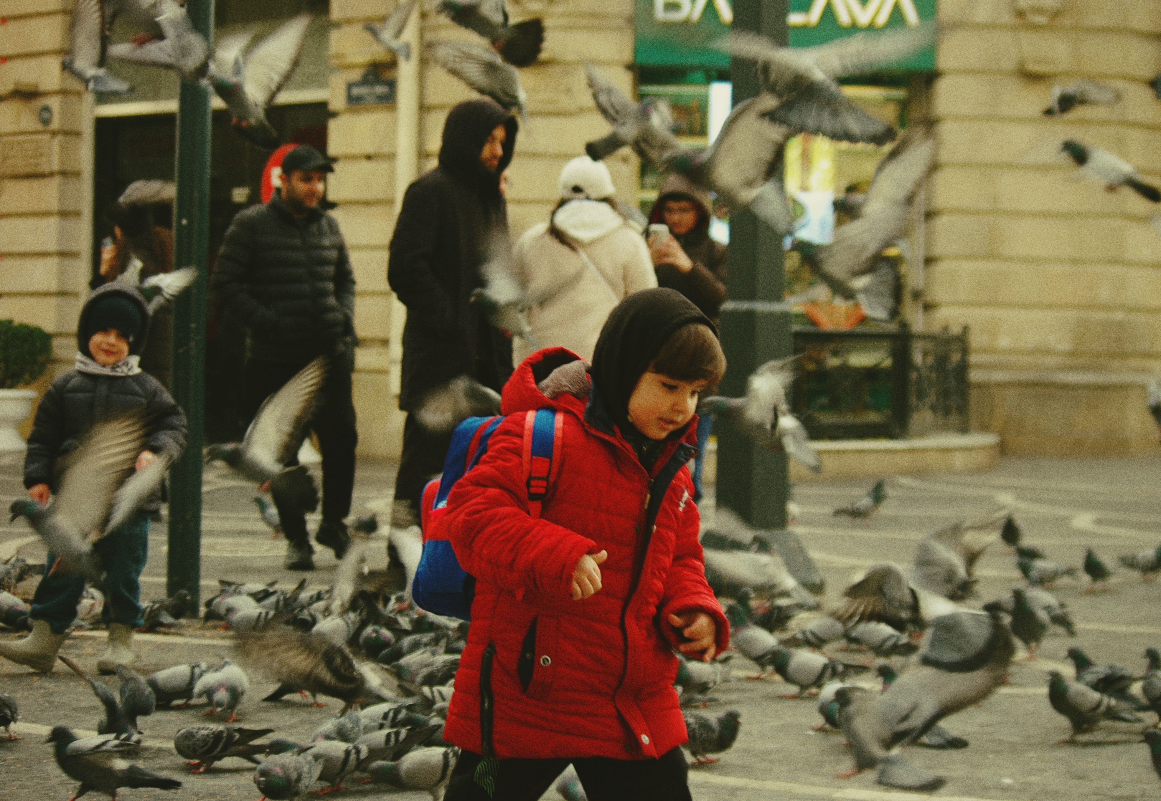 Children Enjoying Pigeons in Urban Street Scene · Free Stock Photo