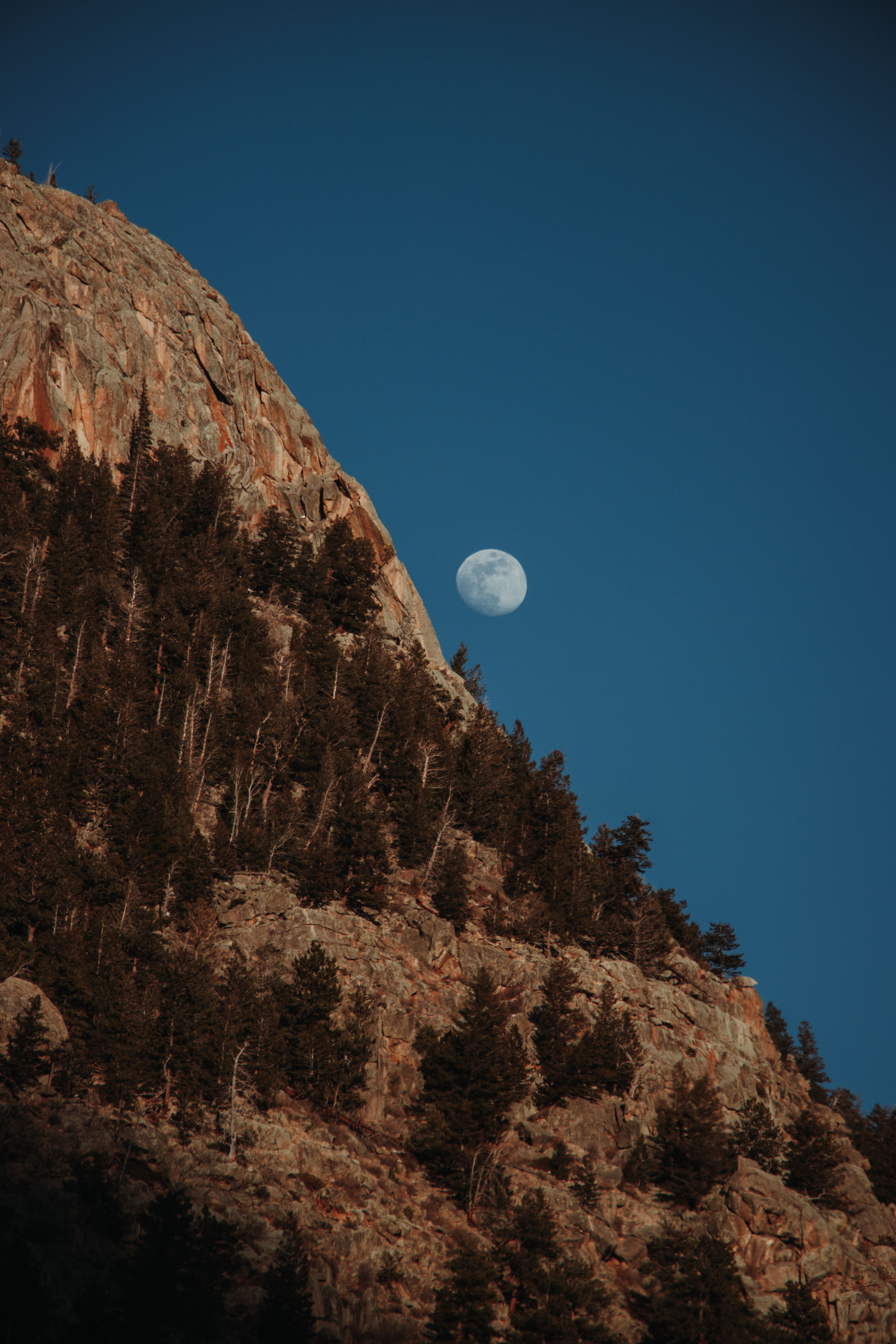 Moon Over Rocky Mountain Forest at Sunset · Free Stock Photo