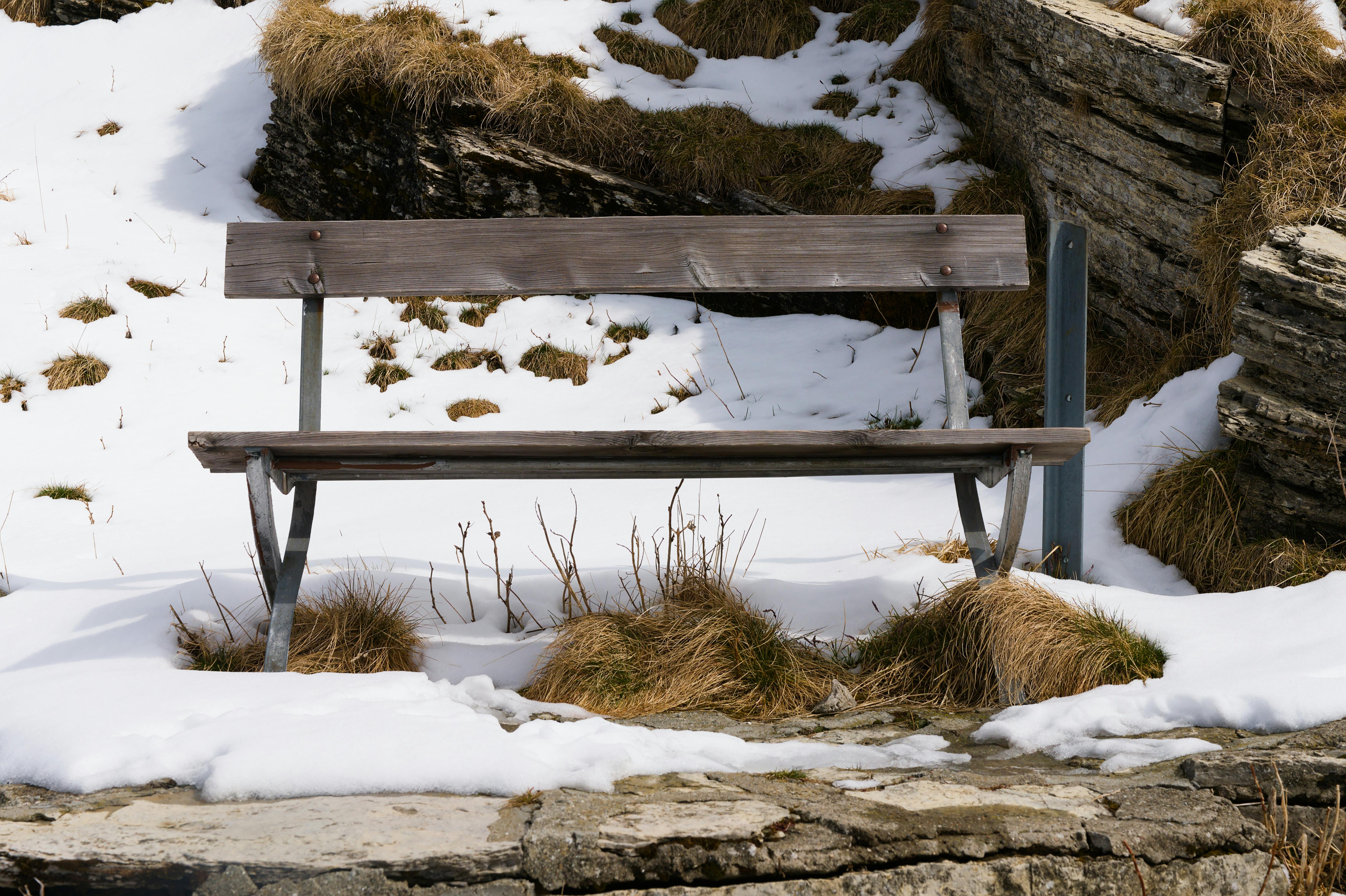 Rest Ice Compression Elevation Photos, Download The BEST Free Rest Ice ...