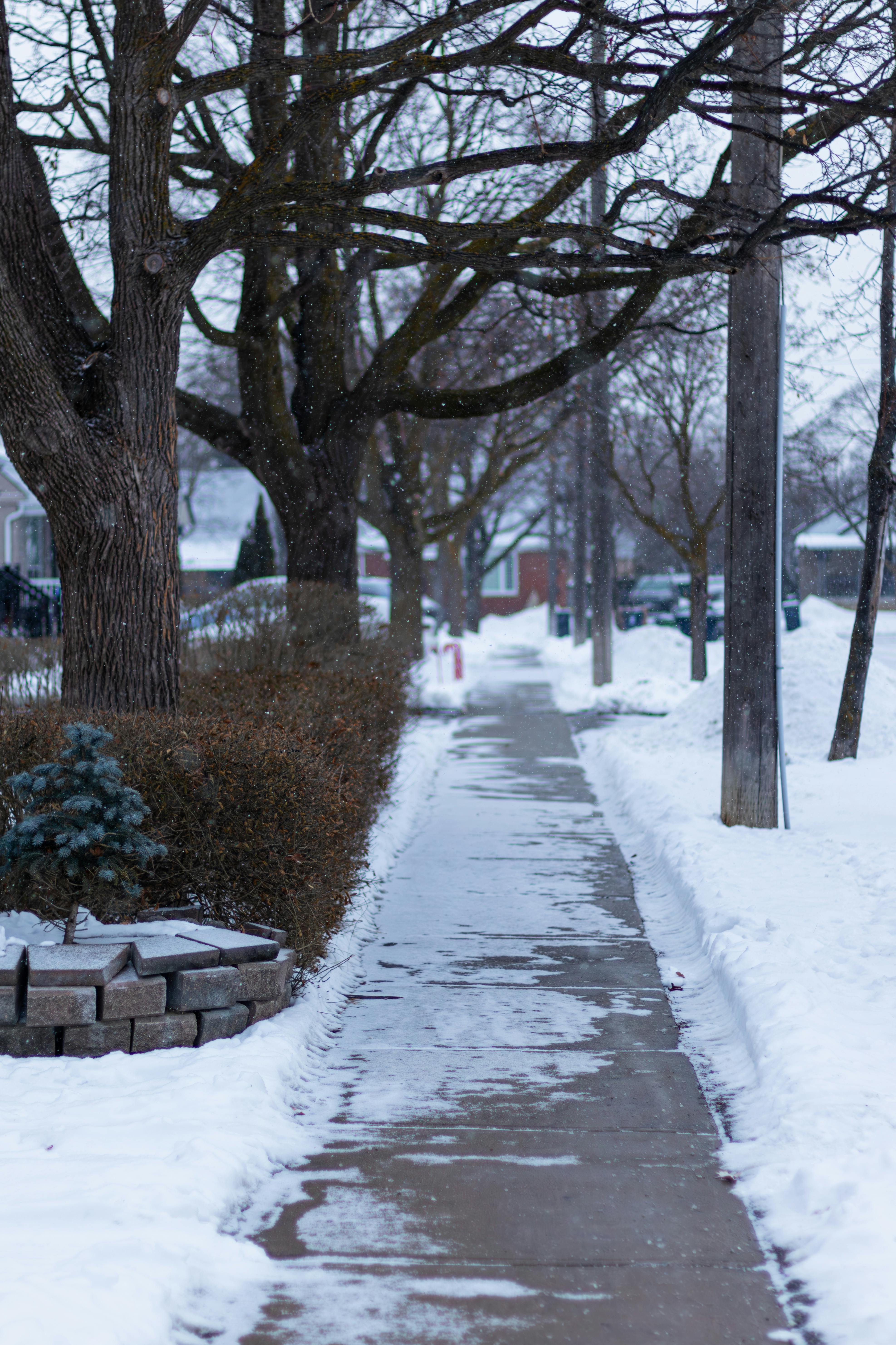 Snowy Winter Sidewalk View in Toronto · Free Stock Photo