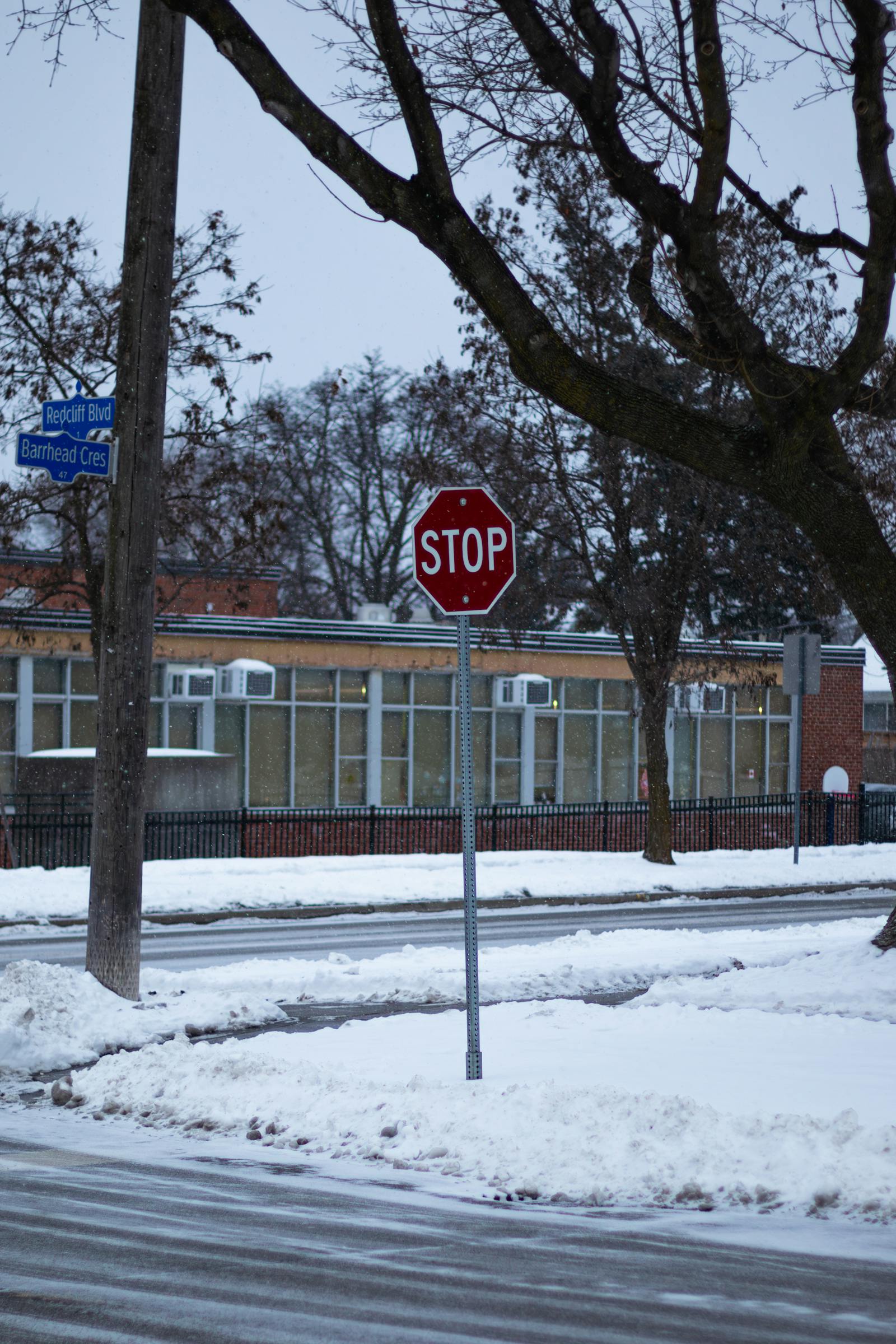 Stop Signs Photos, Download The BEST Free Stop Signs Stock Photos & HD ...
