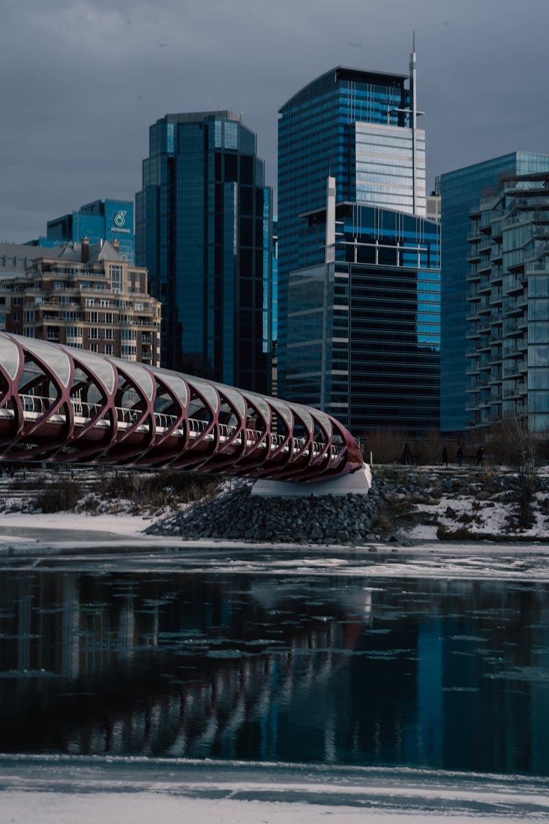 Calgary Photos, Download The BEST Free Calgary Stock Photos & HD Images