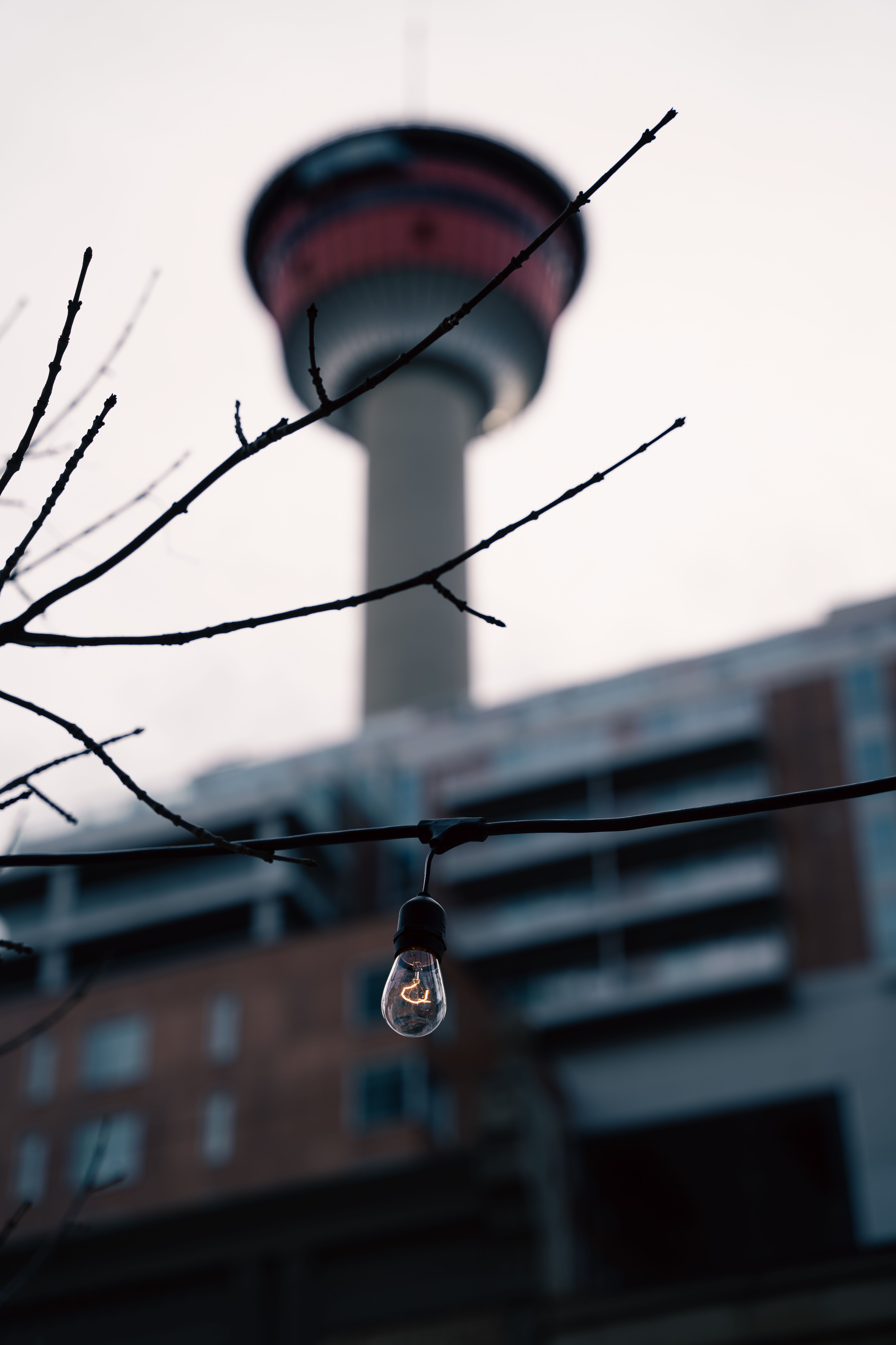 Calgary Tower with Foreground Light Bulb · Free Stock Photo