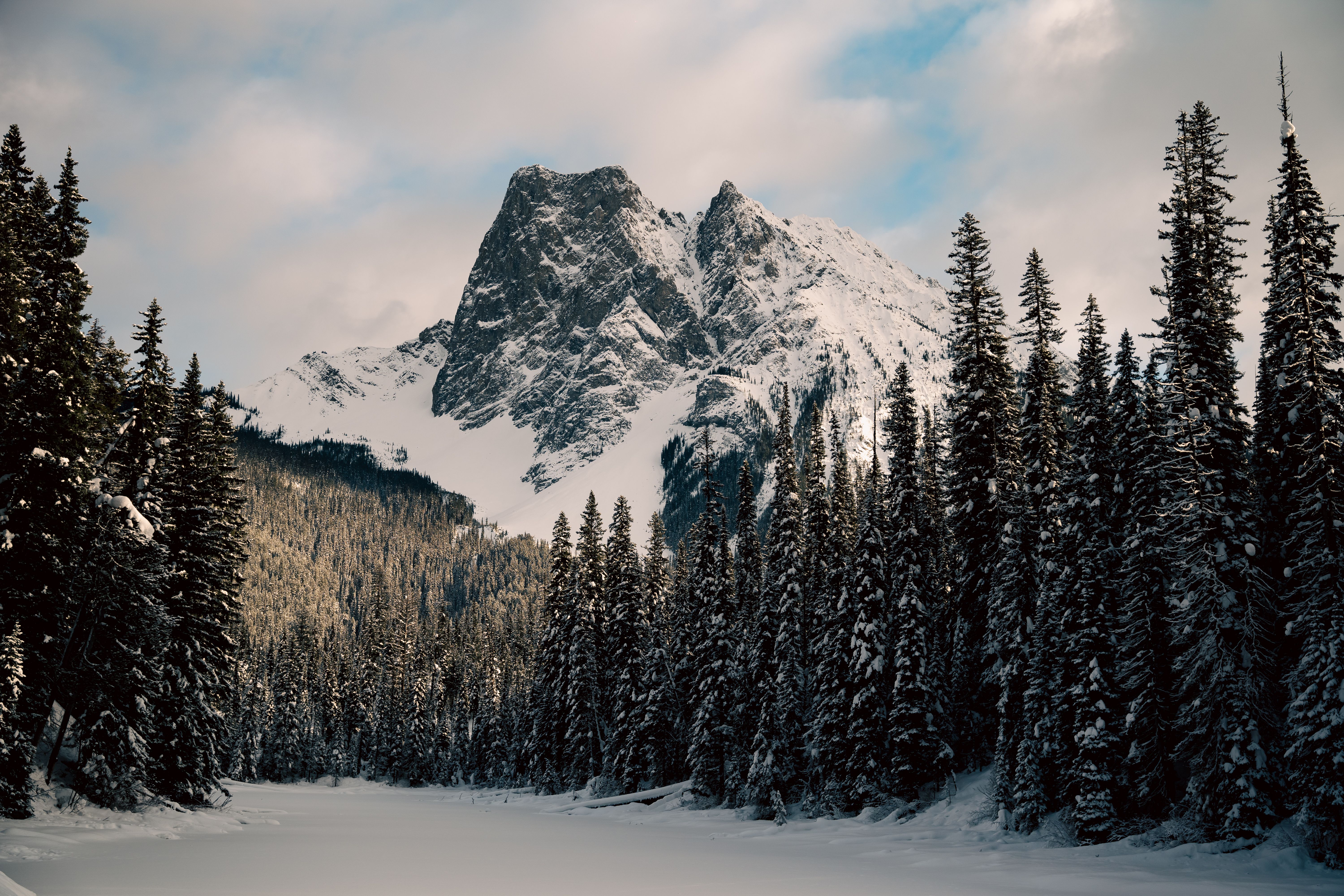 Snow-Covered Mountains and Forest in Canadian Rockies · Free Stock Photo