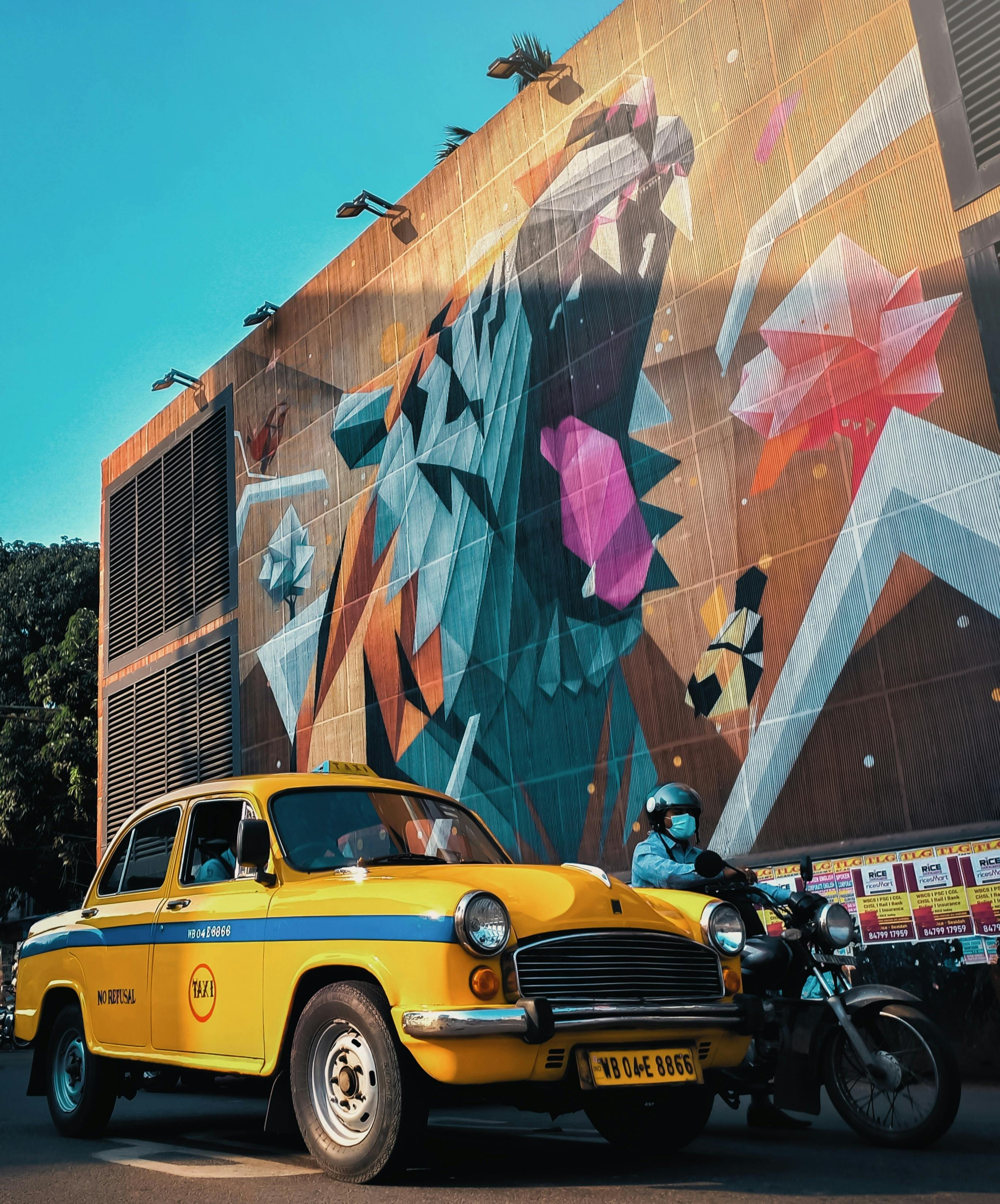 Tiger Chameleon Photos, Download The BEST Free Tiger Chameleon Stock ...