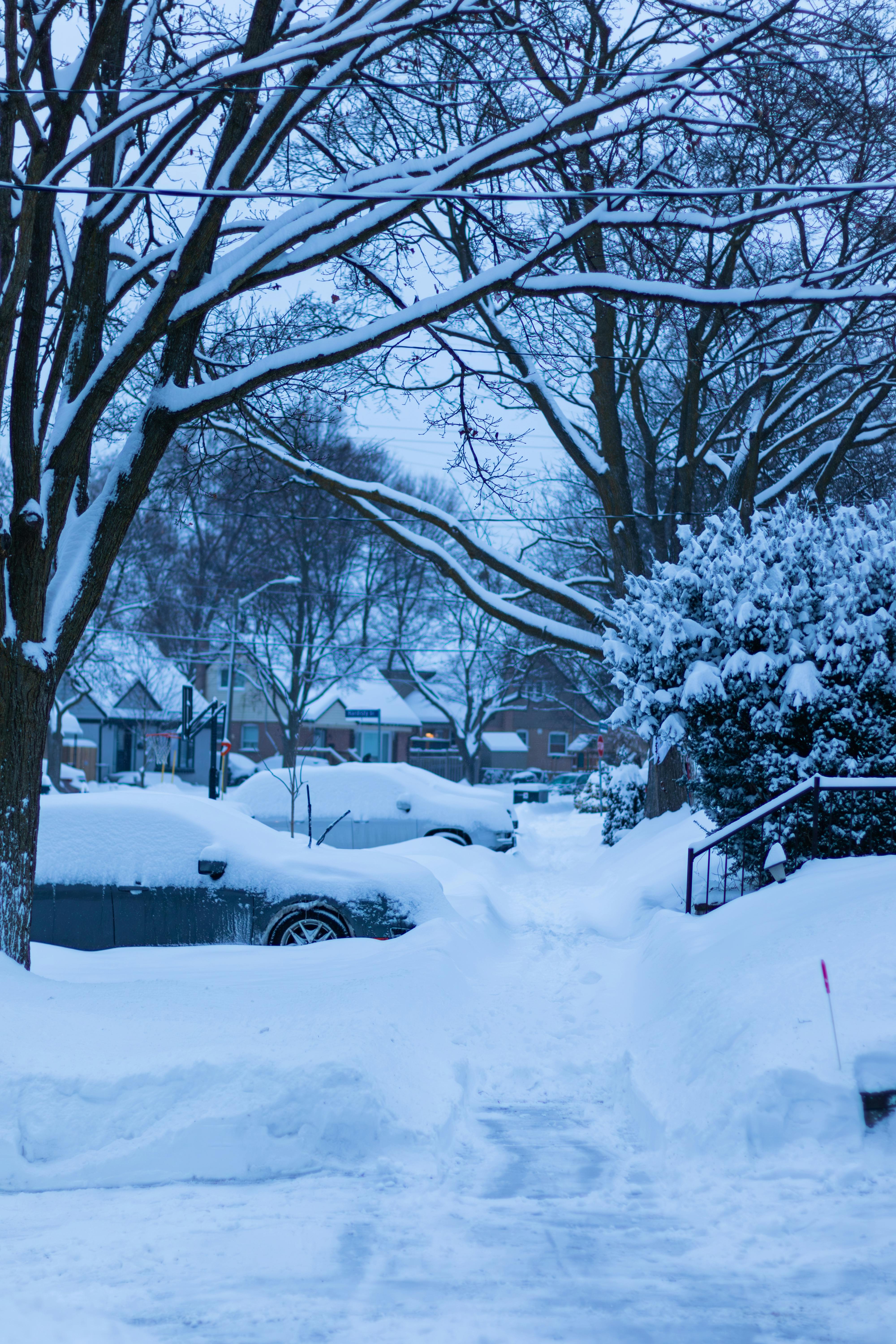 Snow-Covered Streets in Toronto Neighborhood · Free Stock Photo