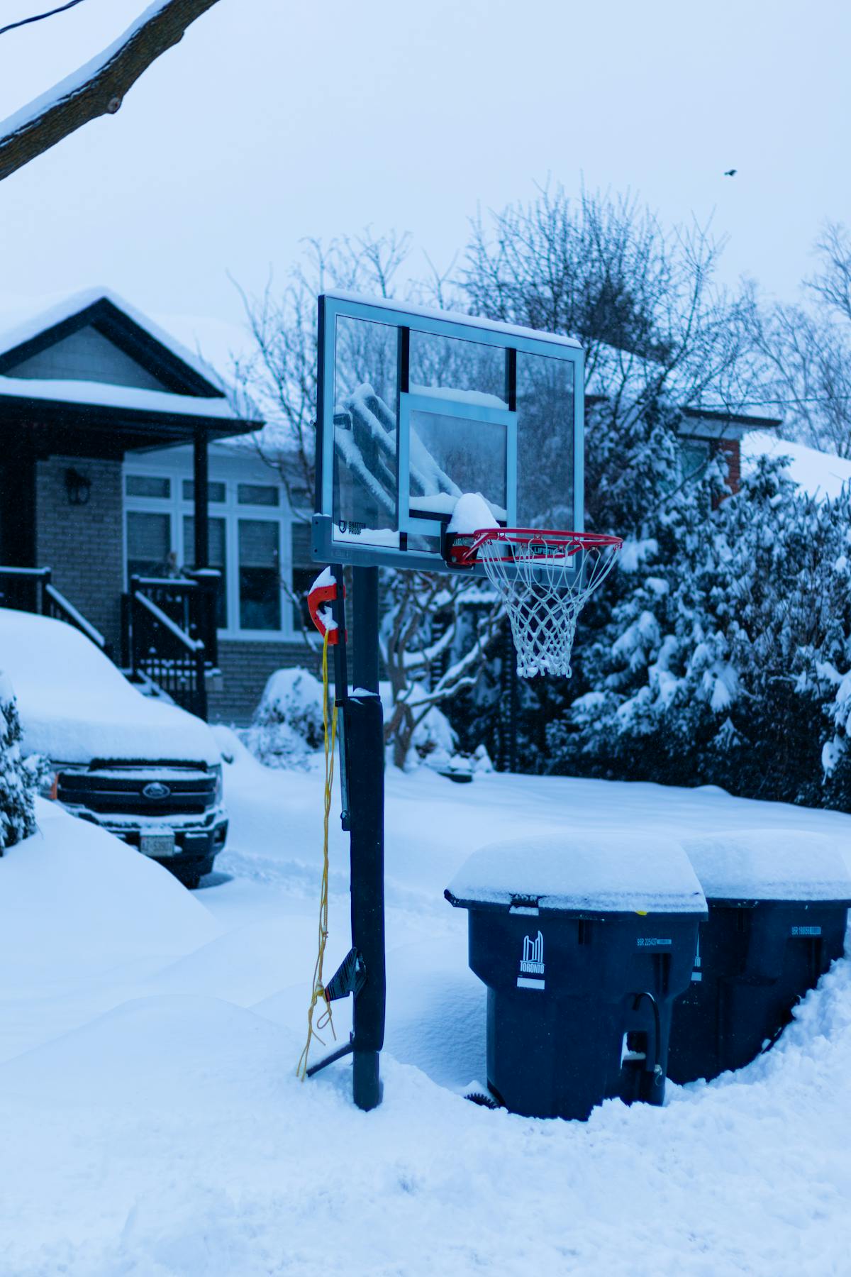 Basketball Cold Photos, Download The BEST Free Basketball Cold Stock ...