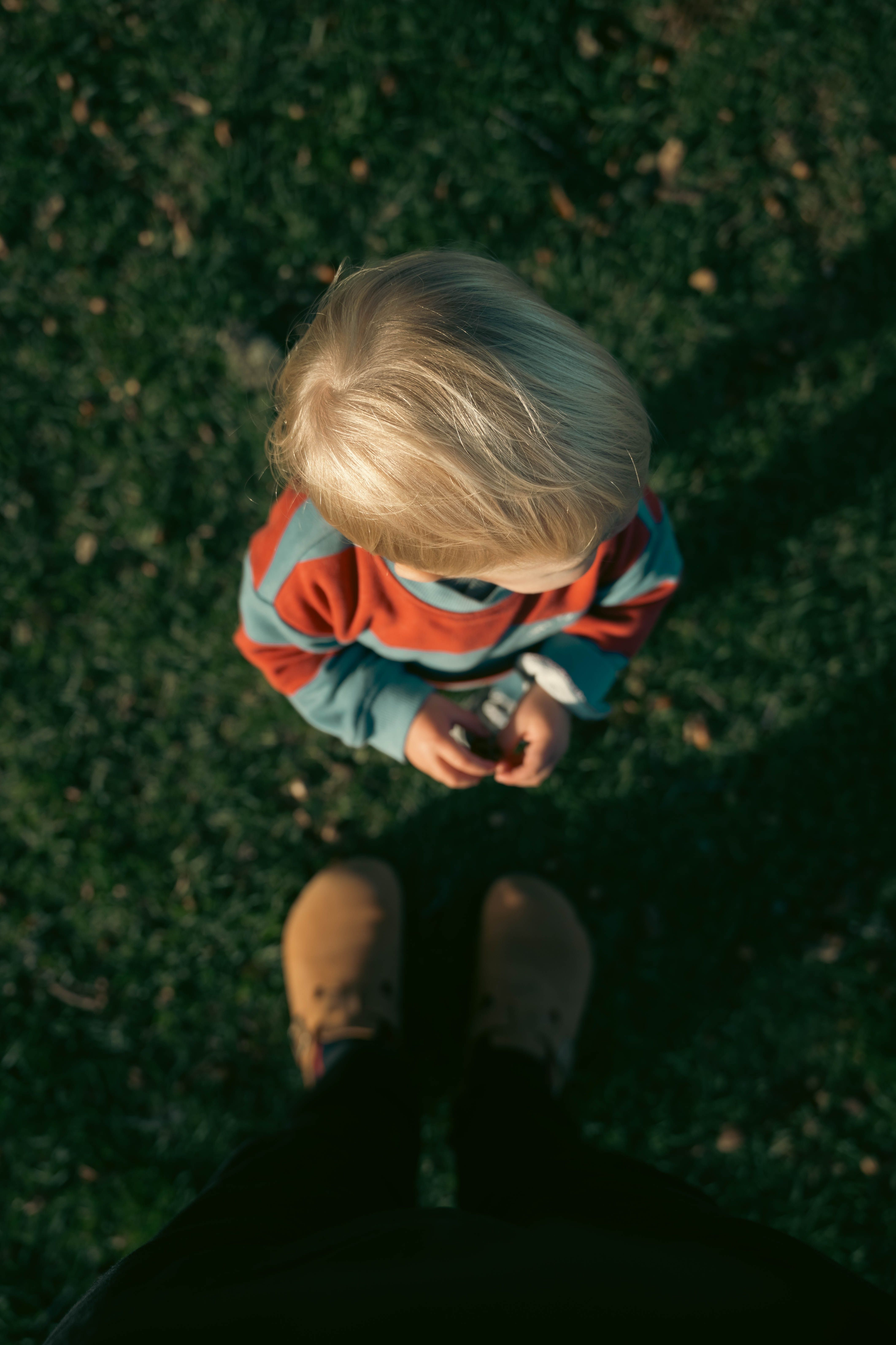Child Looking Up in Outdoor Grass Scene · Free Stock Photo