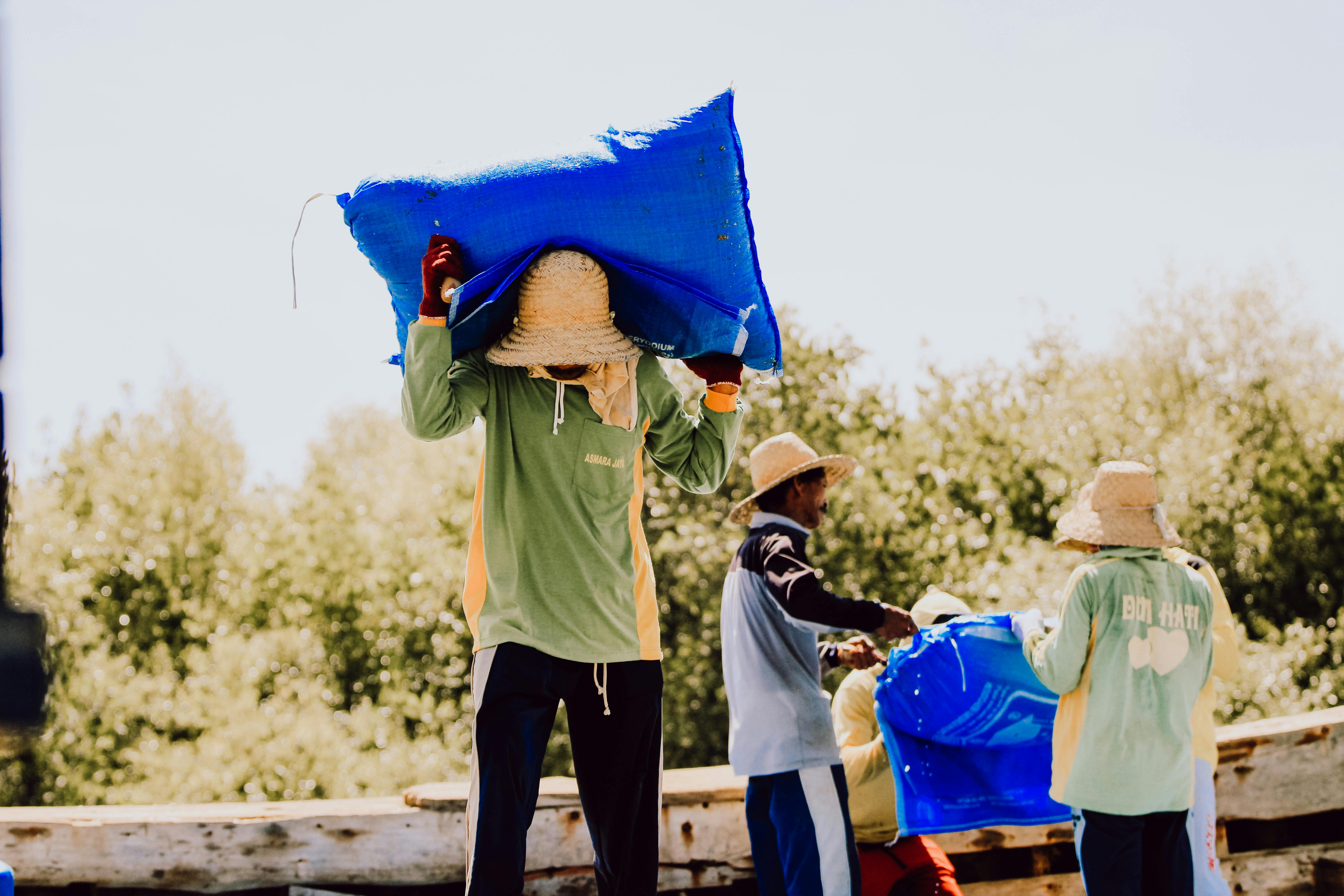 Petani Indonesia Bekerja Di Ladang Garam · Foto Stok Gratis