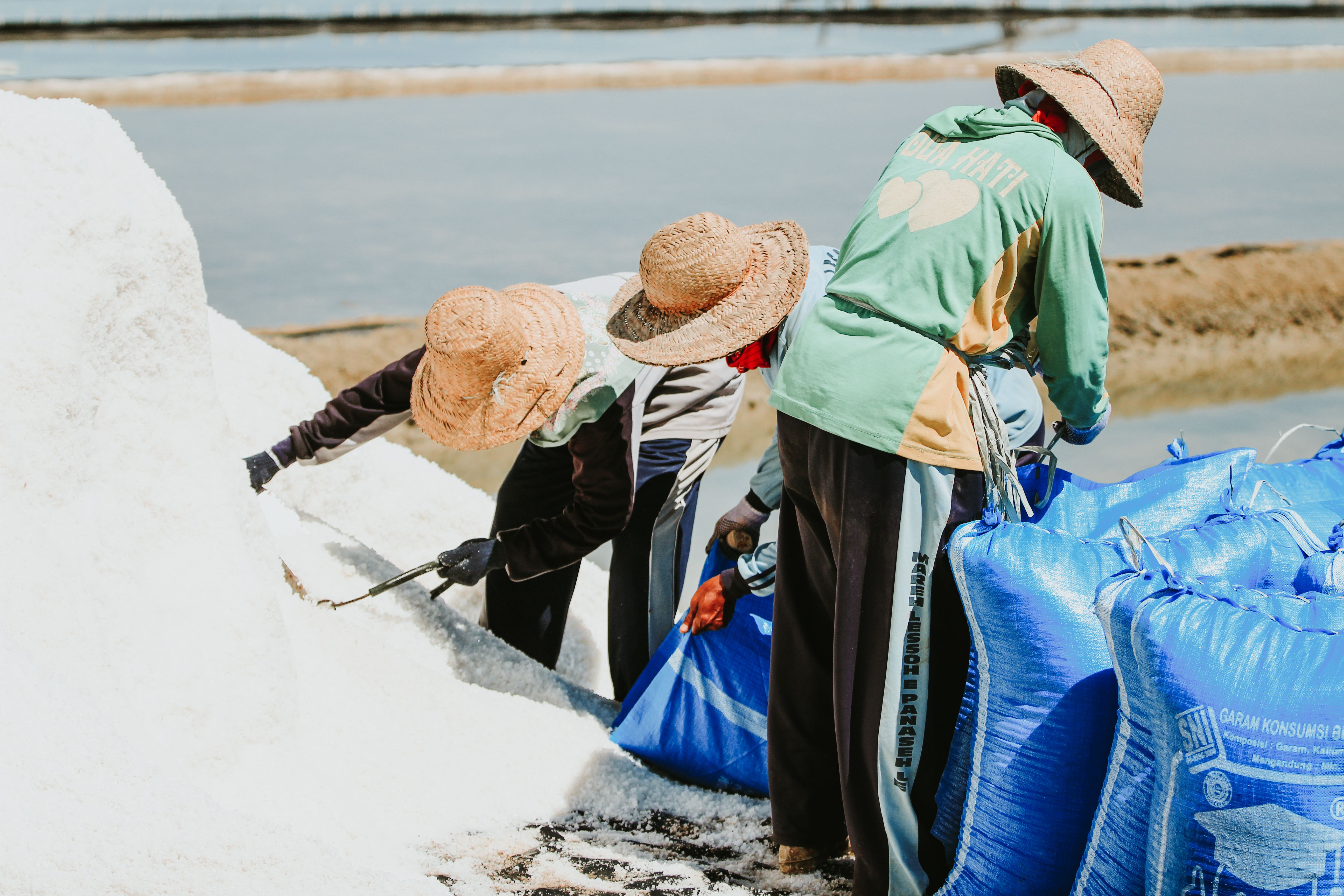 Salt Farmers Working in East Java Indonesia · Free Stock Photo