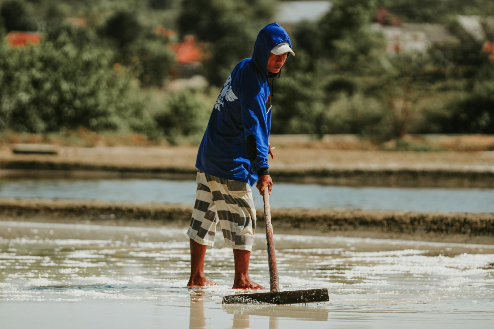 Java Photos, Download The BEST Free Java Stock Photos & HD Images