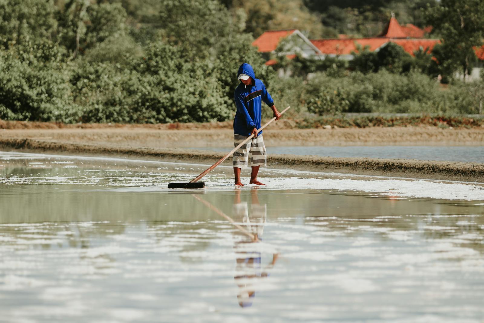 Java Photos, Download The BEST Free Java Stock Photos & HD Images