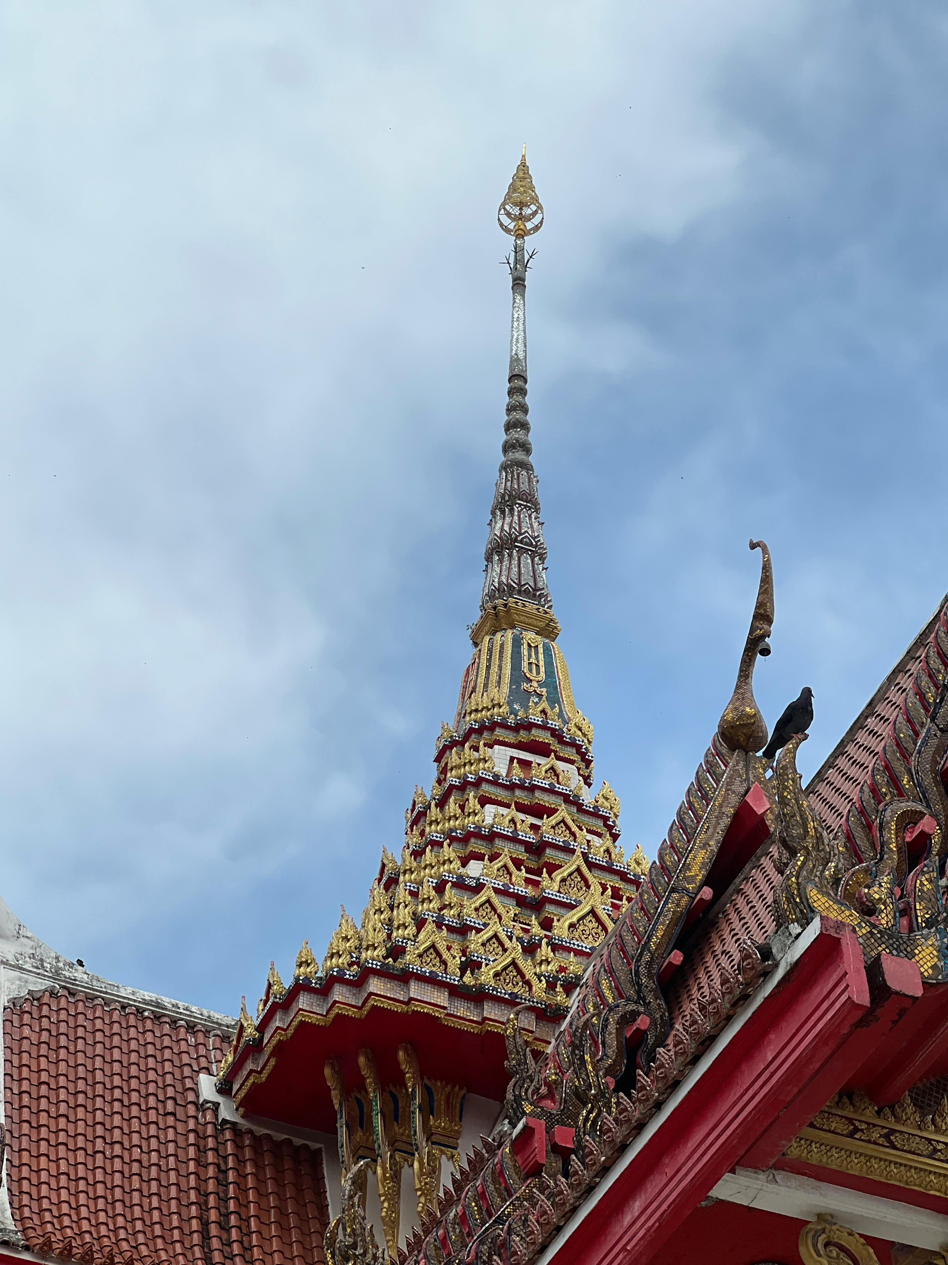 Chedi Studenti Photos, Download The BEST Free Chedi Studenti Stock ...