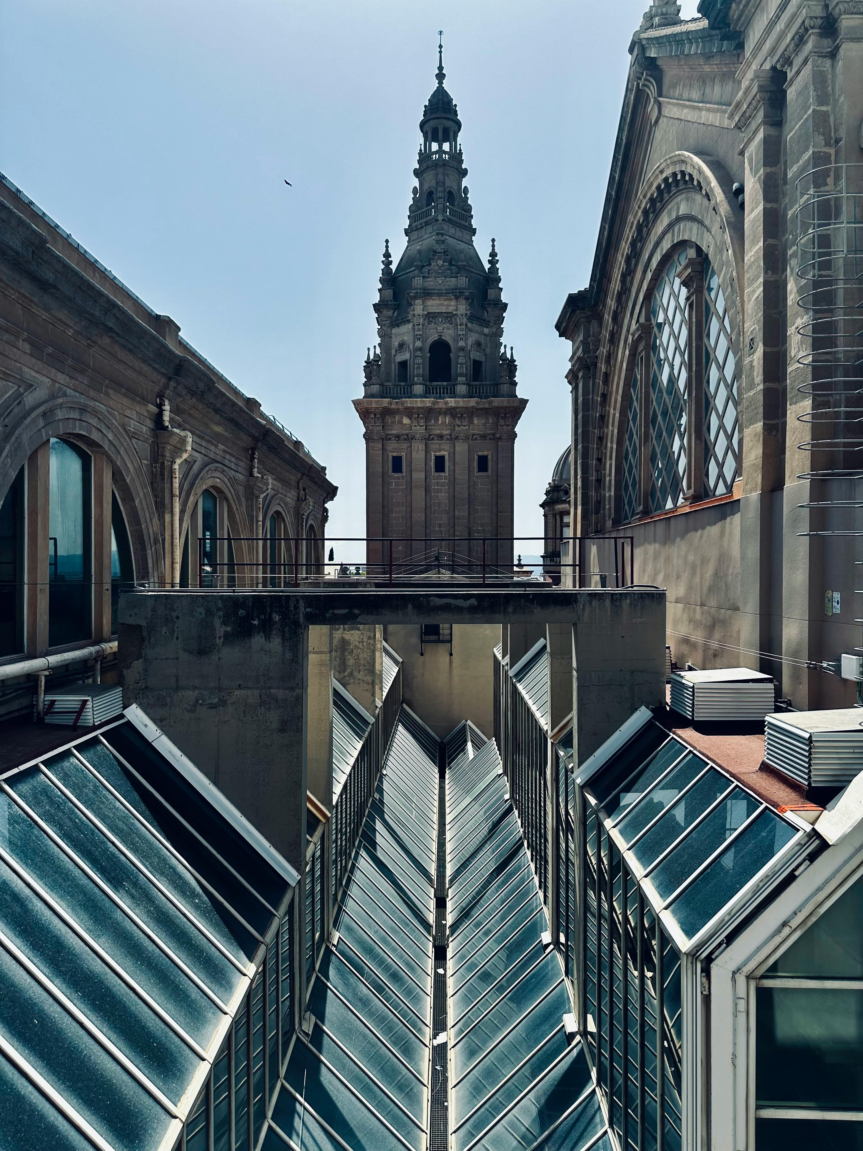 Historic Architectural Rooftop View with Tower · Free Stock Photo