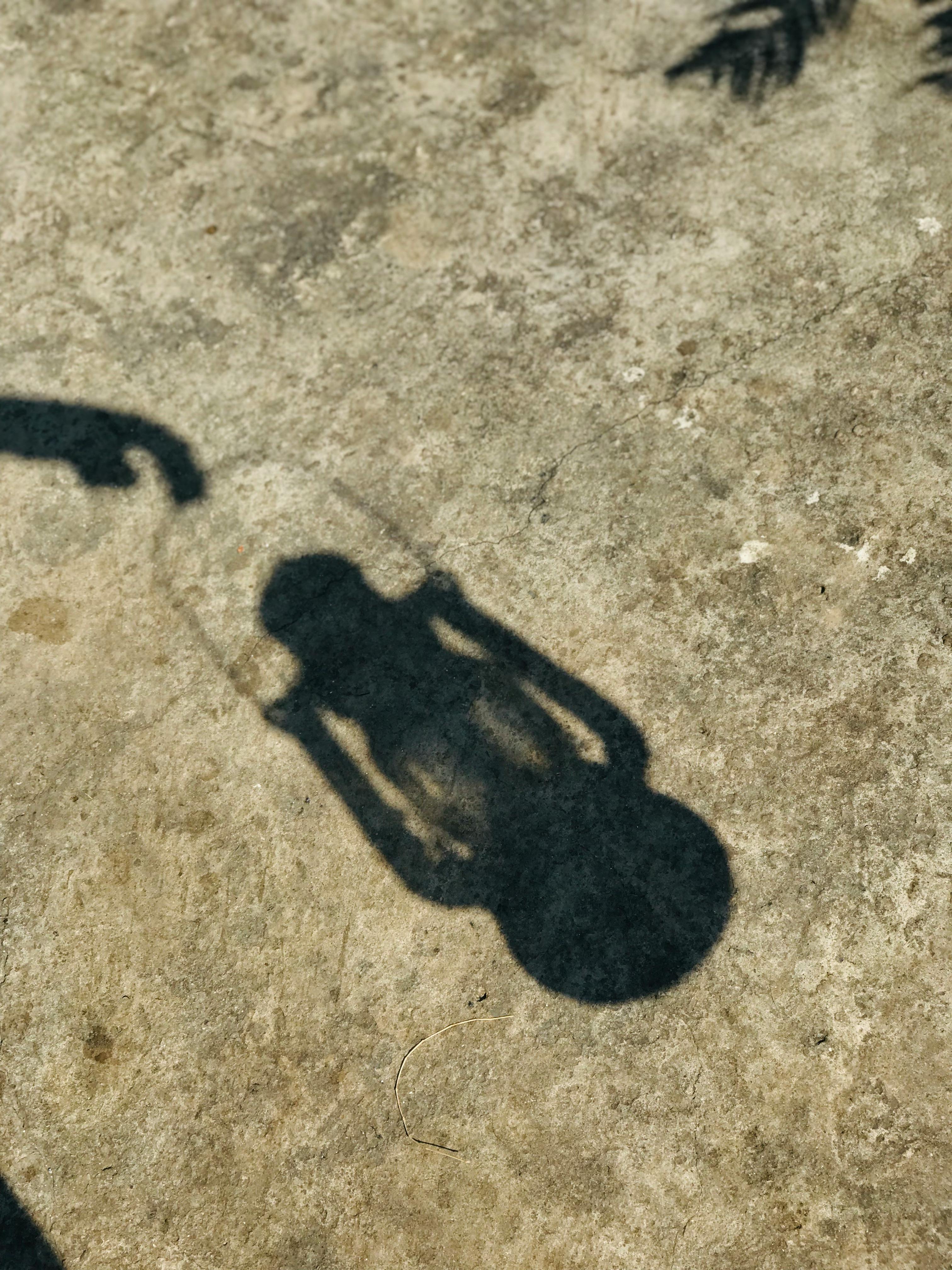 Graphic Elem Photos, Download The BEST Free Graphic Elem Stock Photos ...