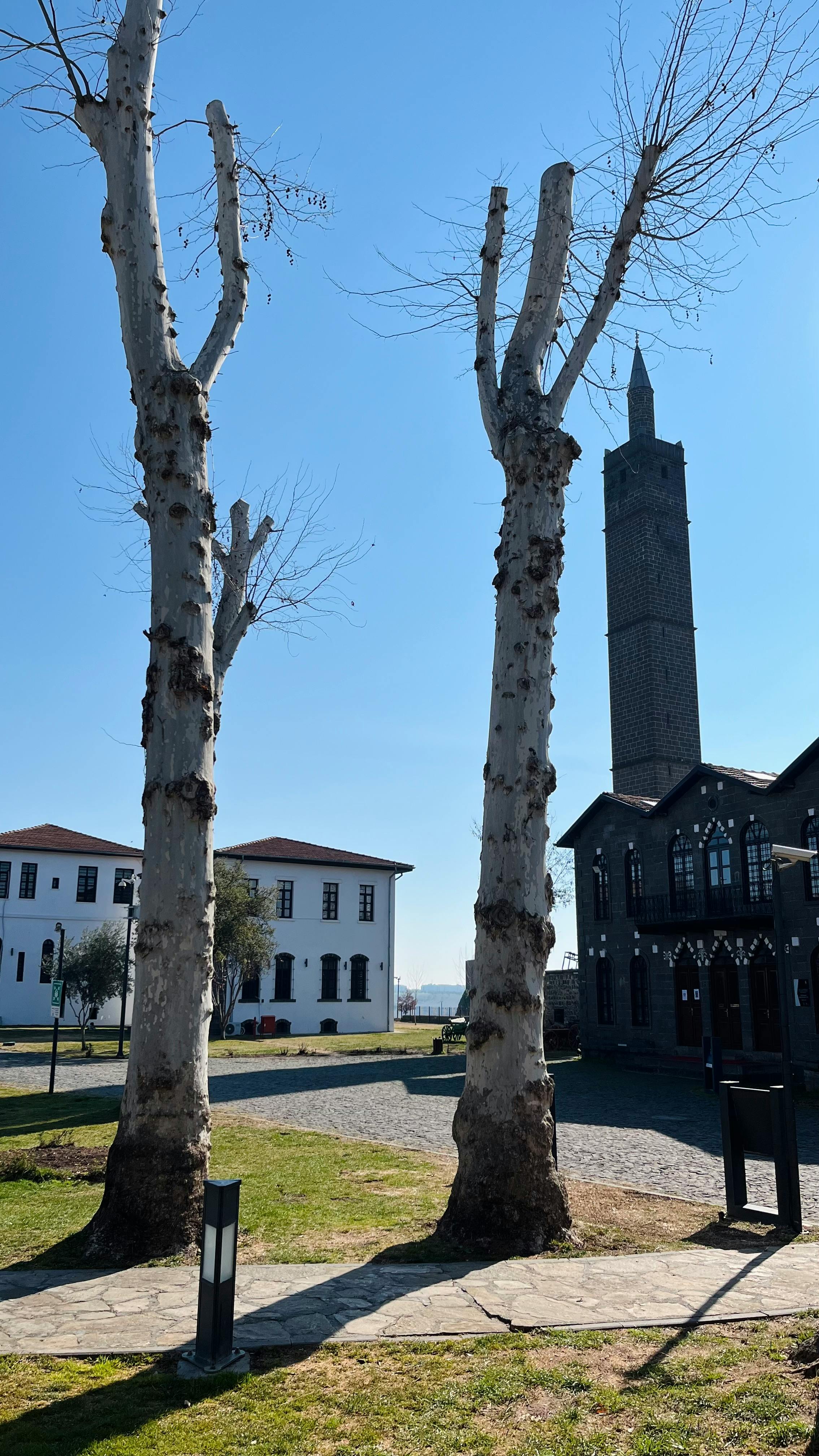 Central Pattern Photos, Download The BEST Free Central Pattern Stock ...