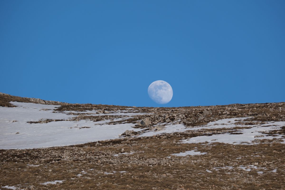 Simple Landscape Photos, Download The BEST Free Simple Landscape Stock ...