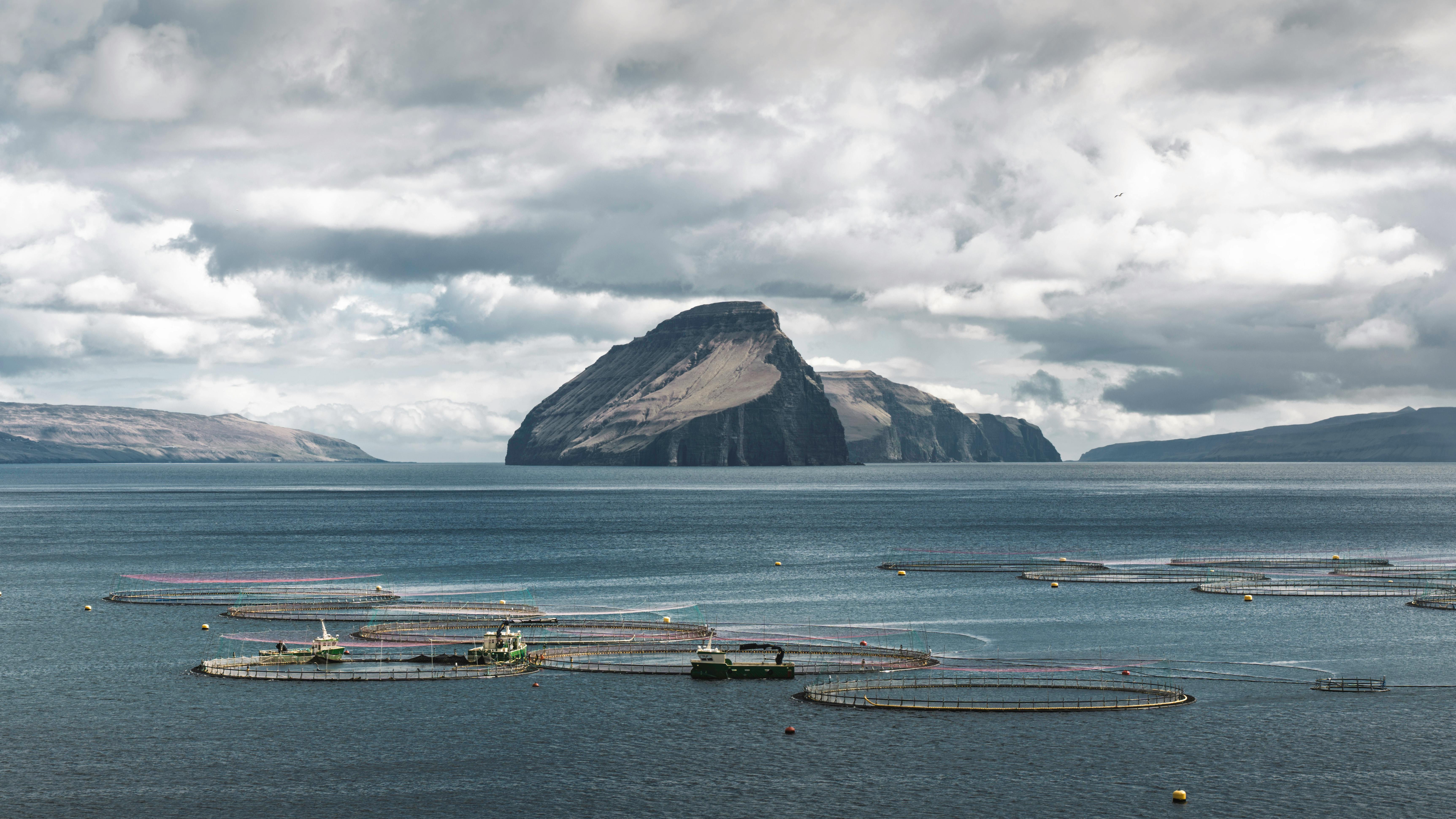 Global+Hd Photos, Download The BEST Free Global+Hd Stock Photos & HD Images