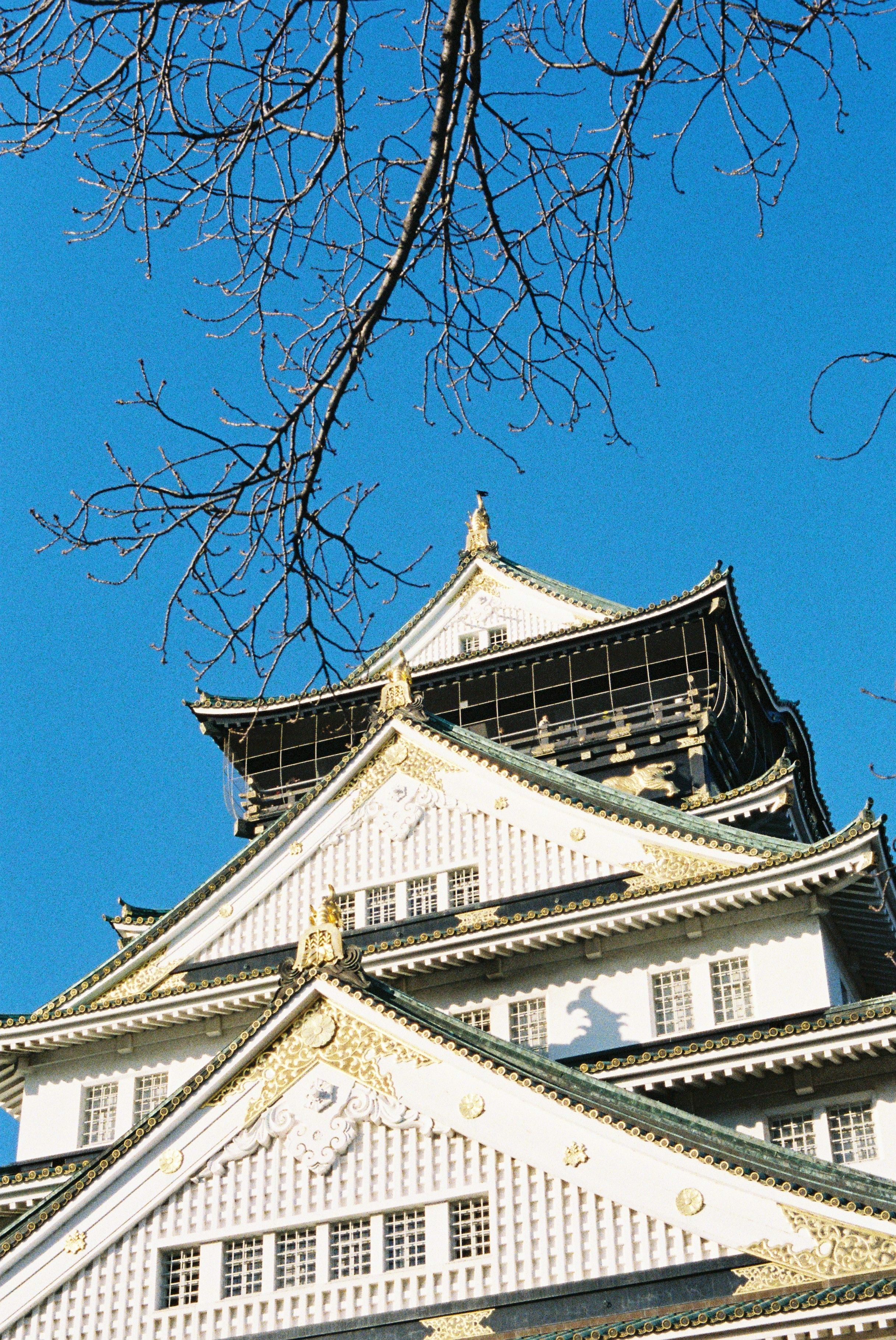 Osaka Castle with Bare Winter Branches · Free Stock Photo