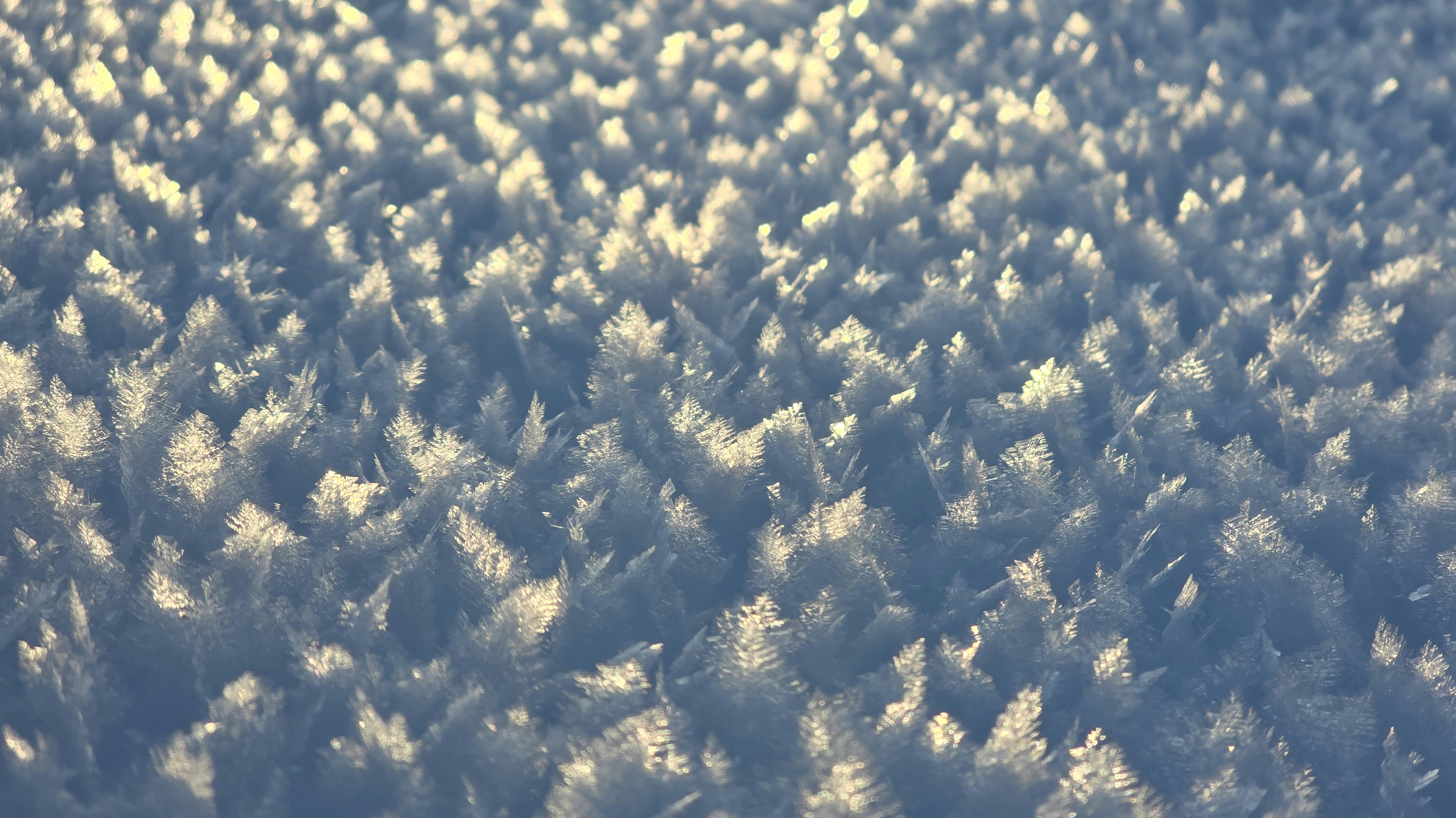 Freezing Background Photos, Download The BEST Free Freezing Background ...