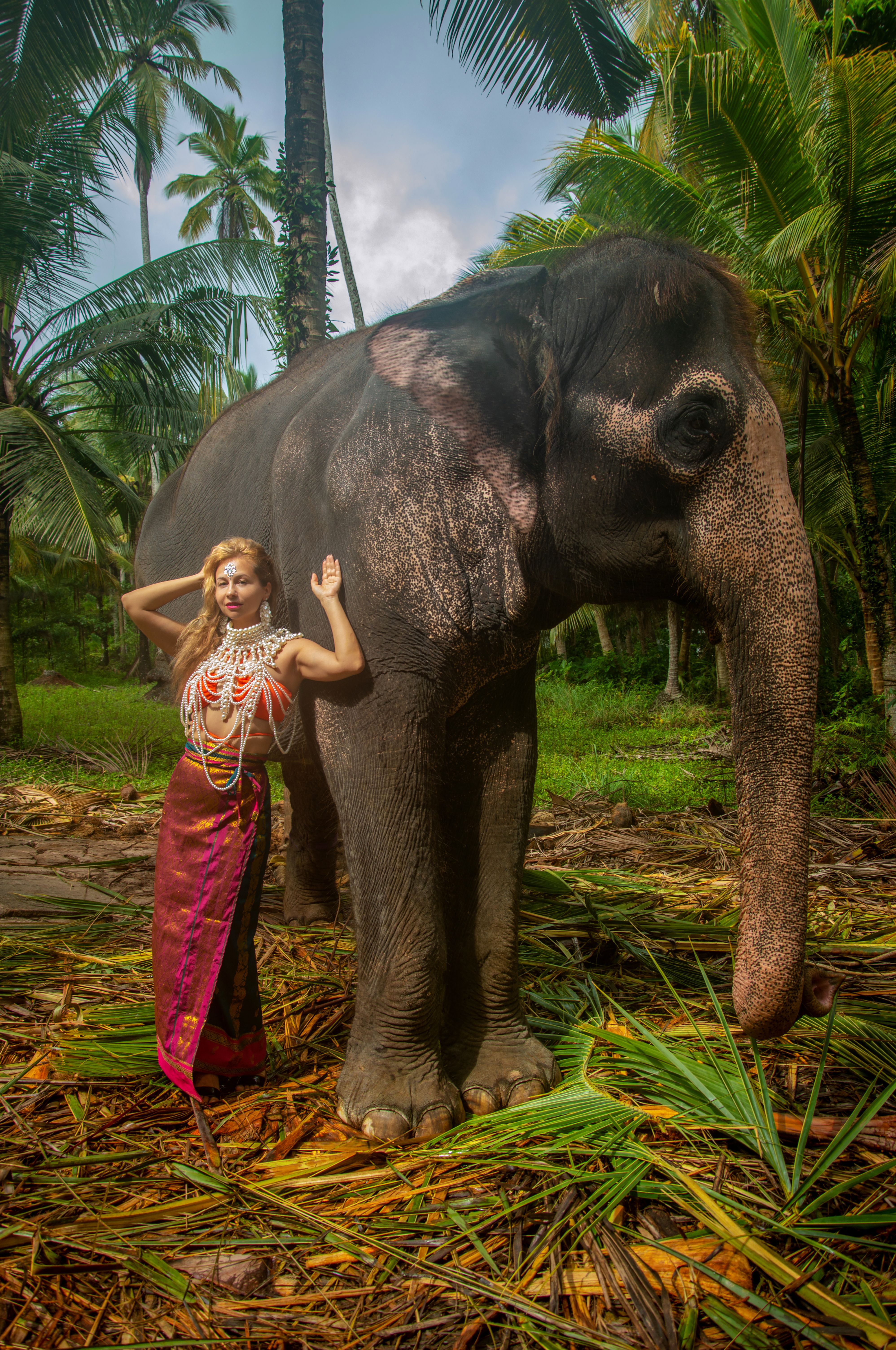 Elegant Woman with Elephant in Lush Jungle · Free Stock Photo