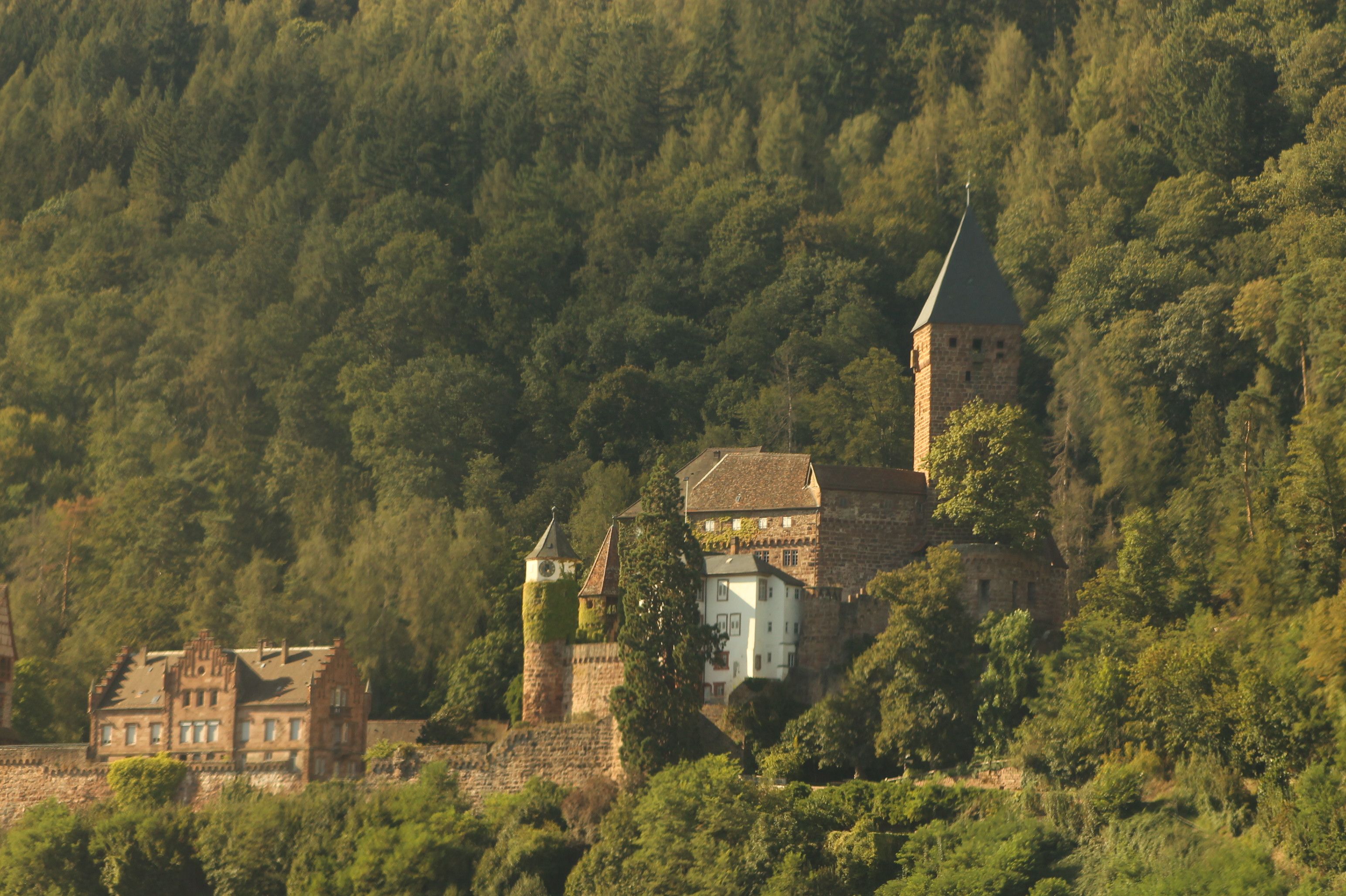 Medieval Castle Surrounded by Dense Forest · Free Stock Photo
