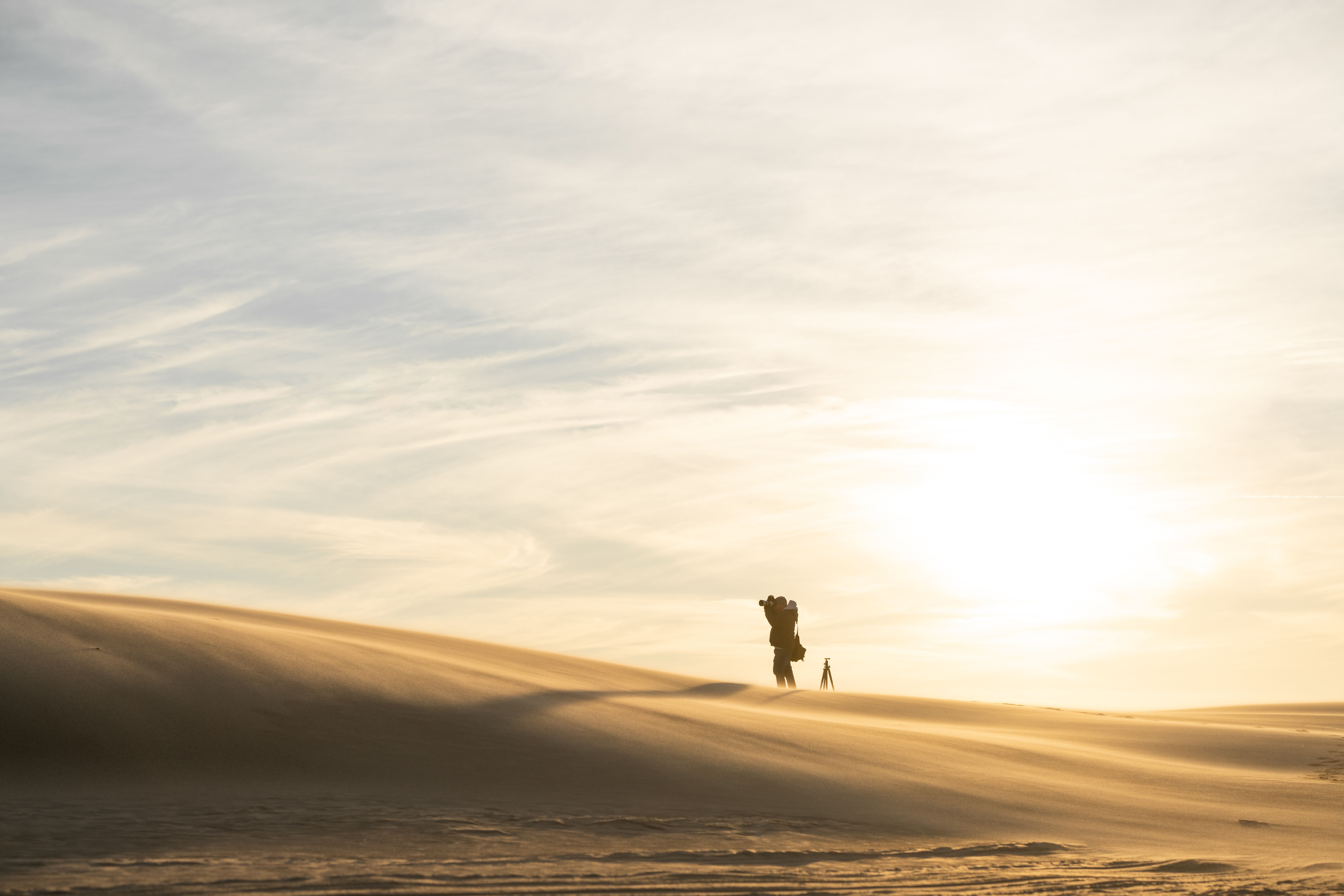 Silhouette in Vast Sand Dunes at Sunset · Free Stock Photo