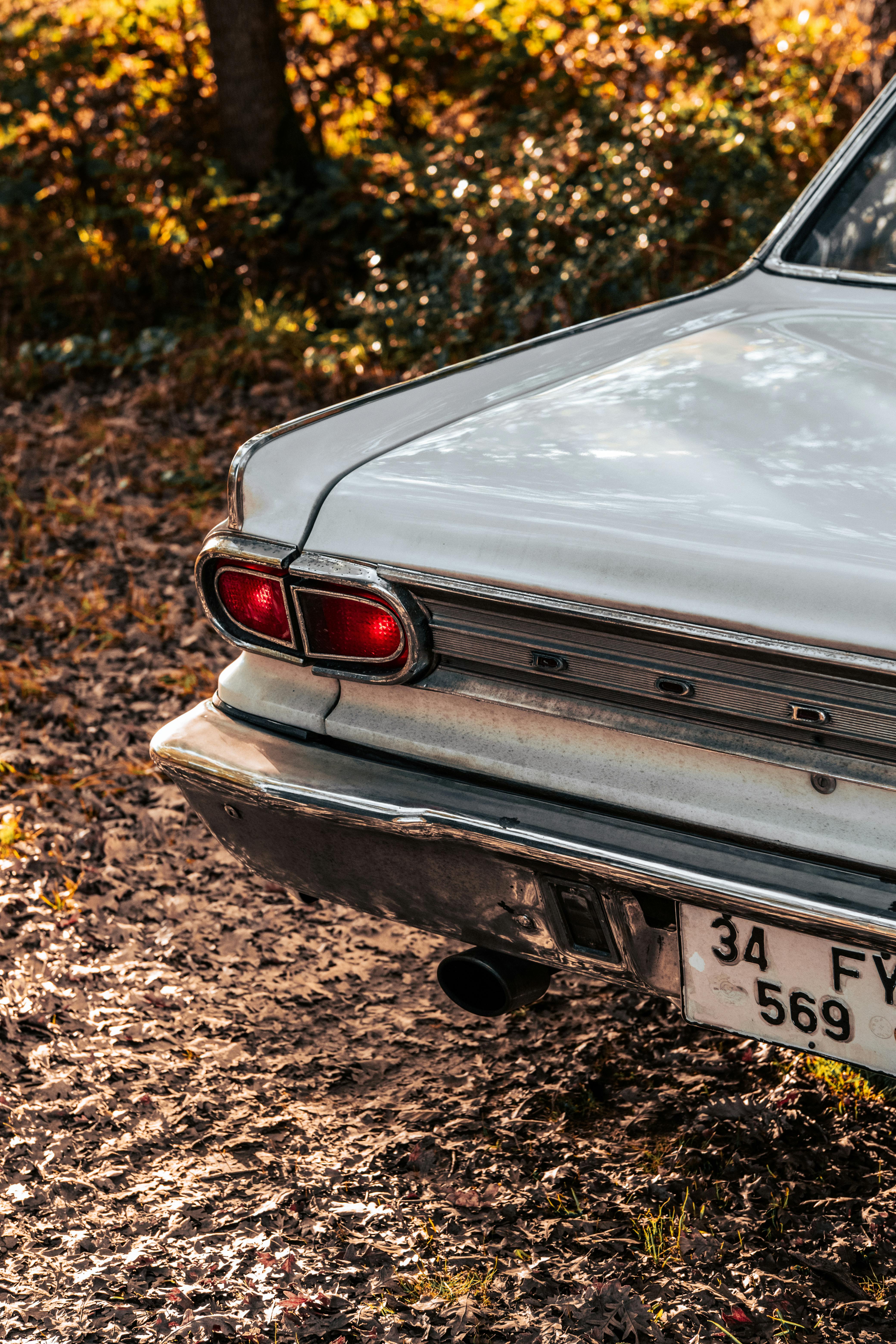 Vintage Car Backside in Autumn Setting · Free Stock Photo