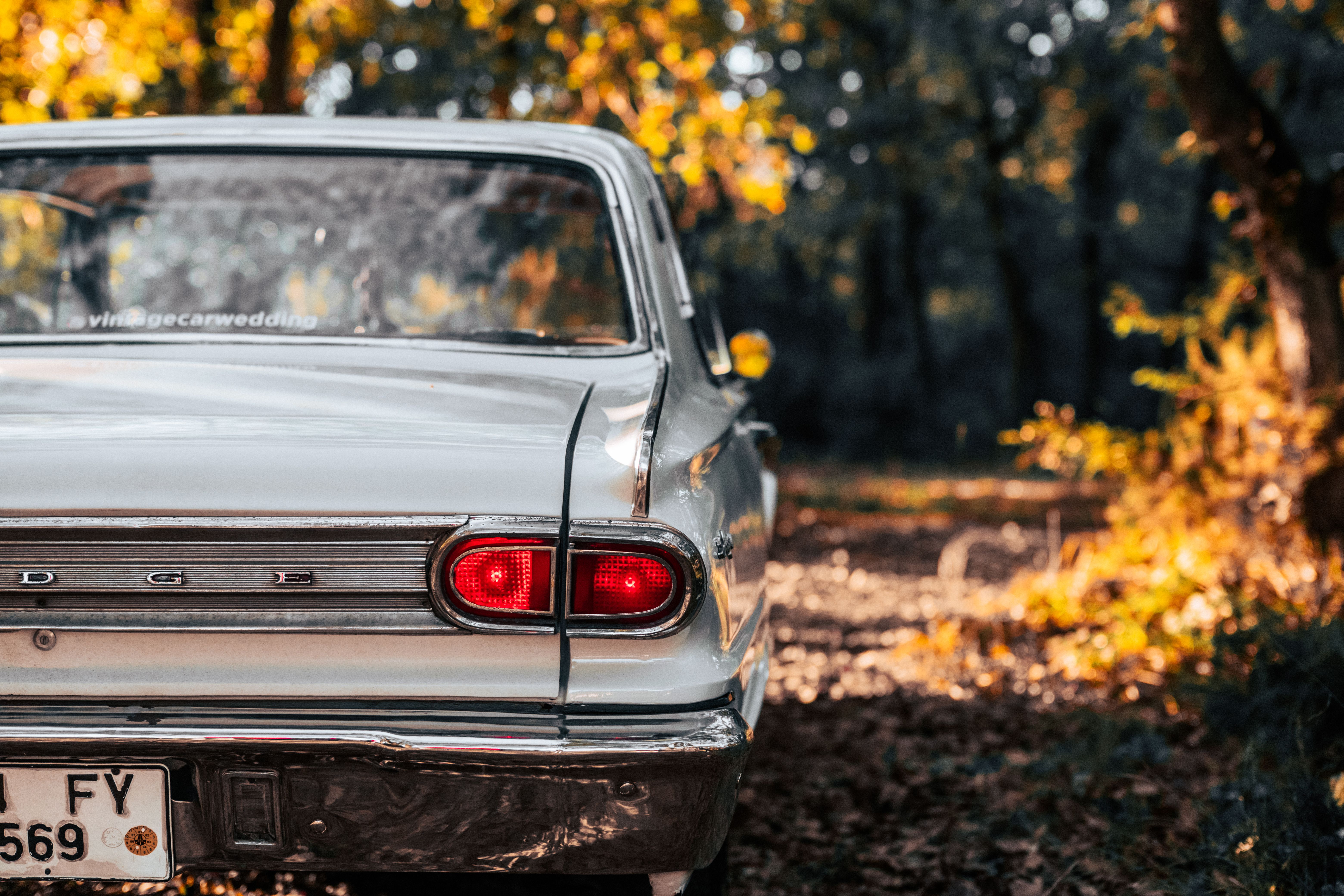 Vintage Dodge Car in Autumn Forest Setting · Free Stock Photo