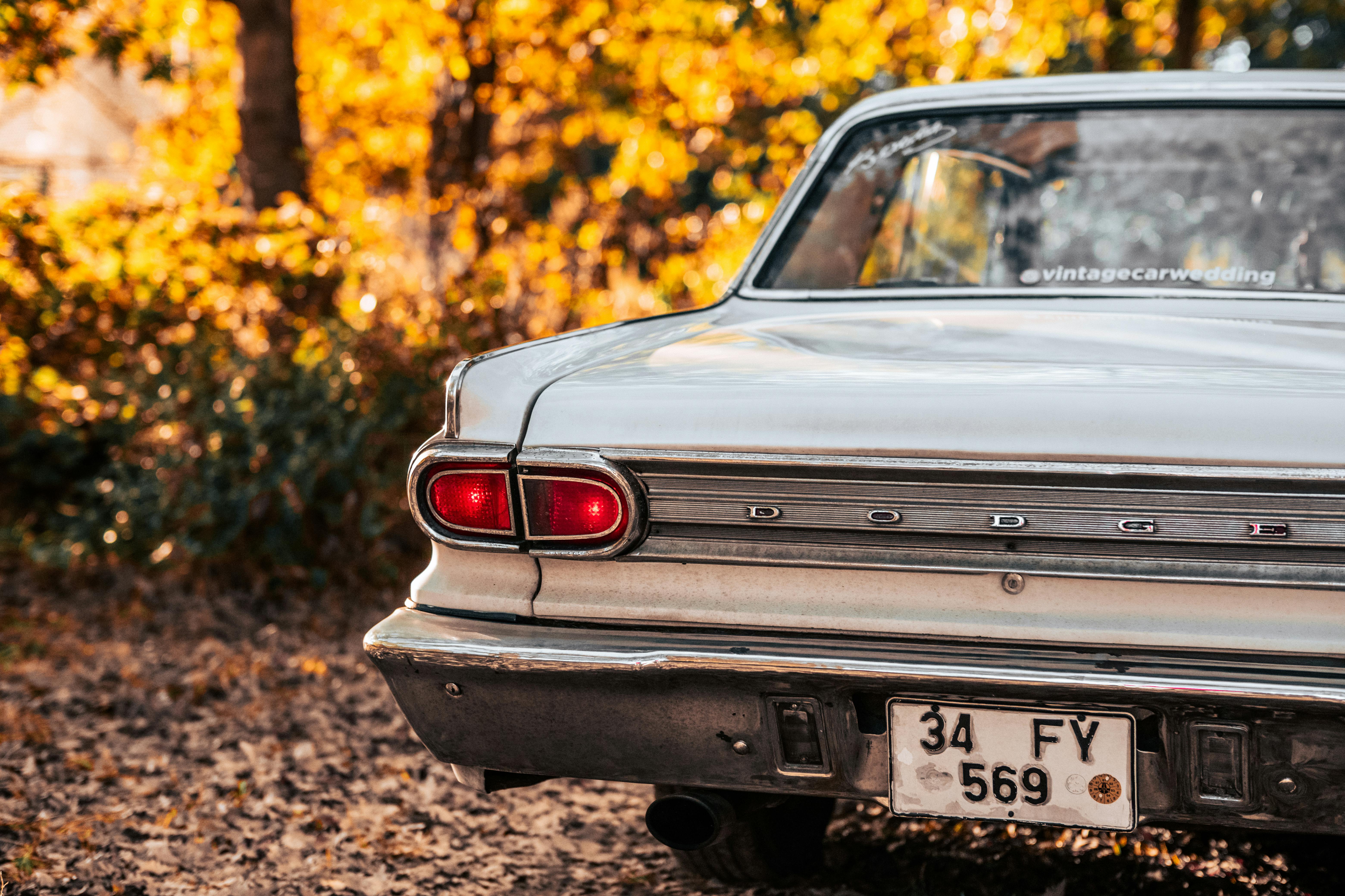 Classic Dodge Car in Autumn Setting · Free Stock Photo