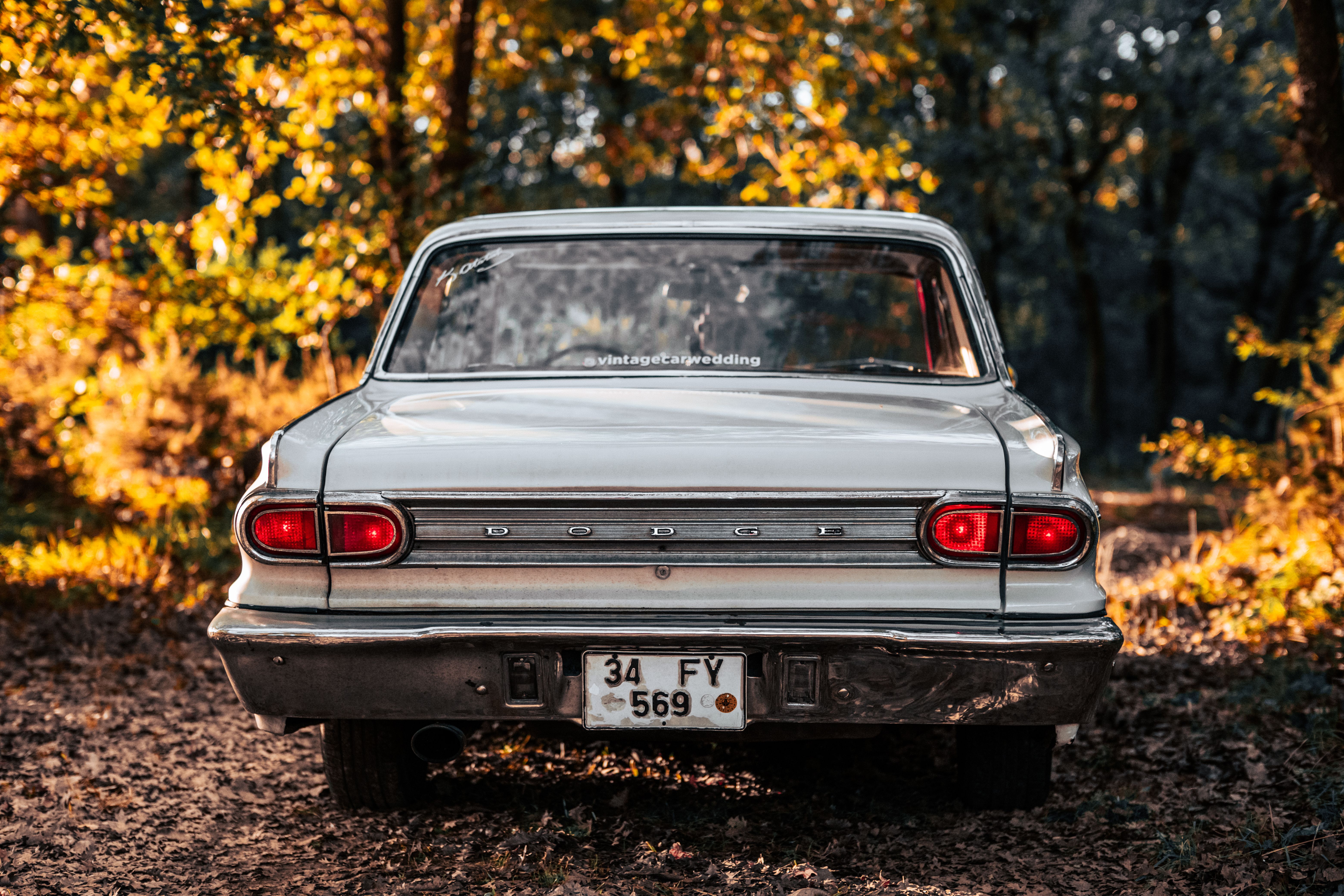 Vintage Dodge Car in Autumn Forest Setting · Free Stock Photo