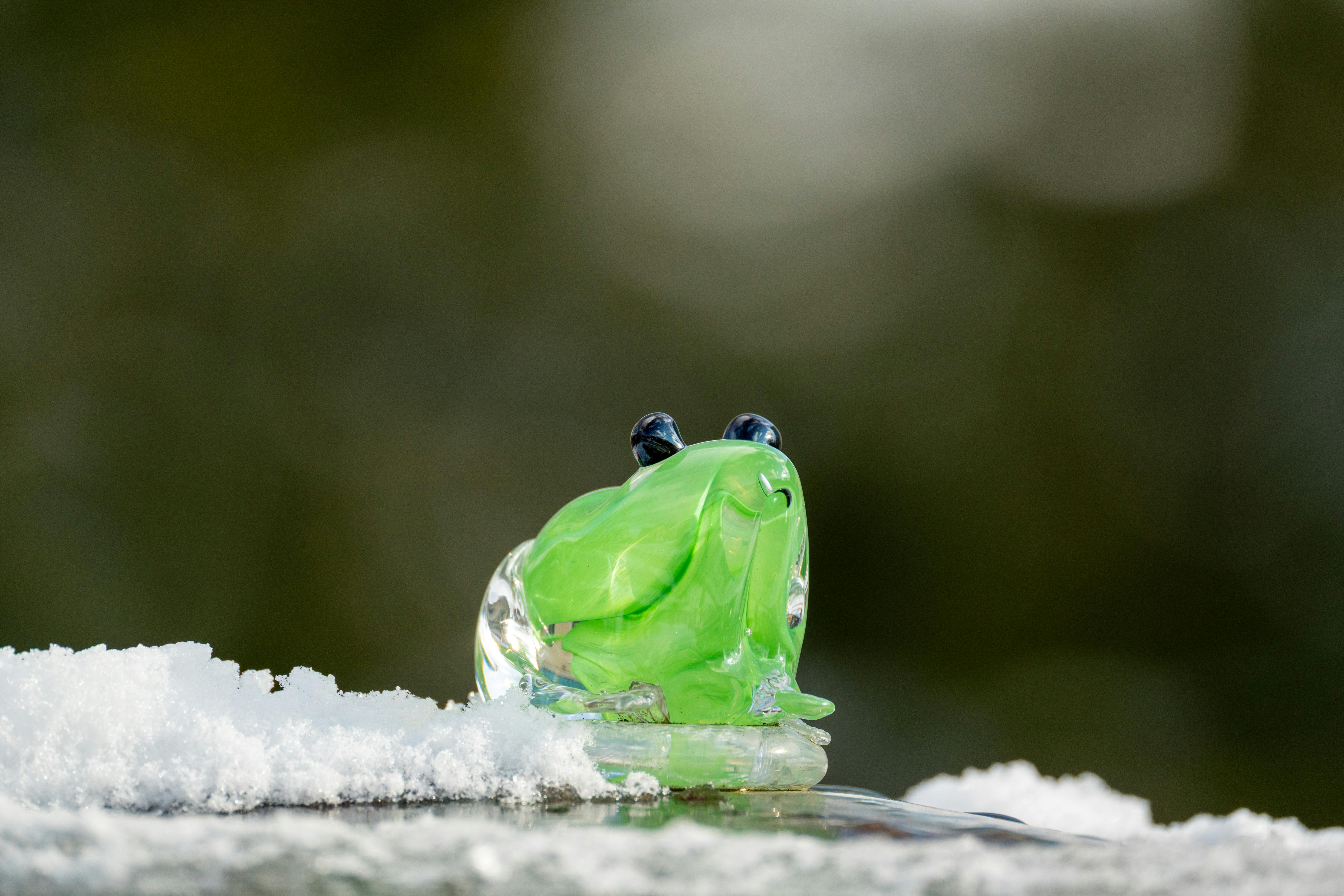 Frog Design: Simple, Smart, and User-Friendly Ideas