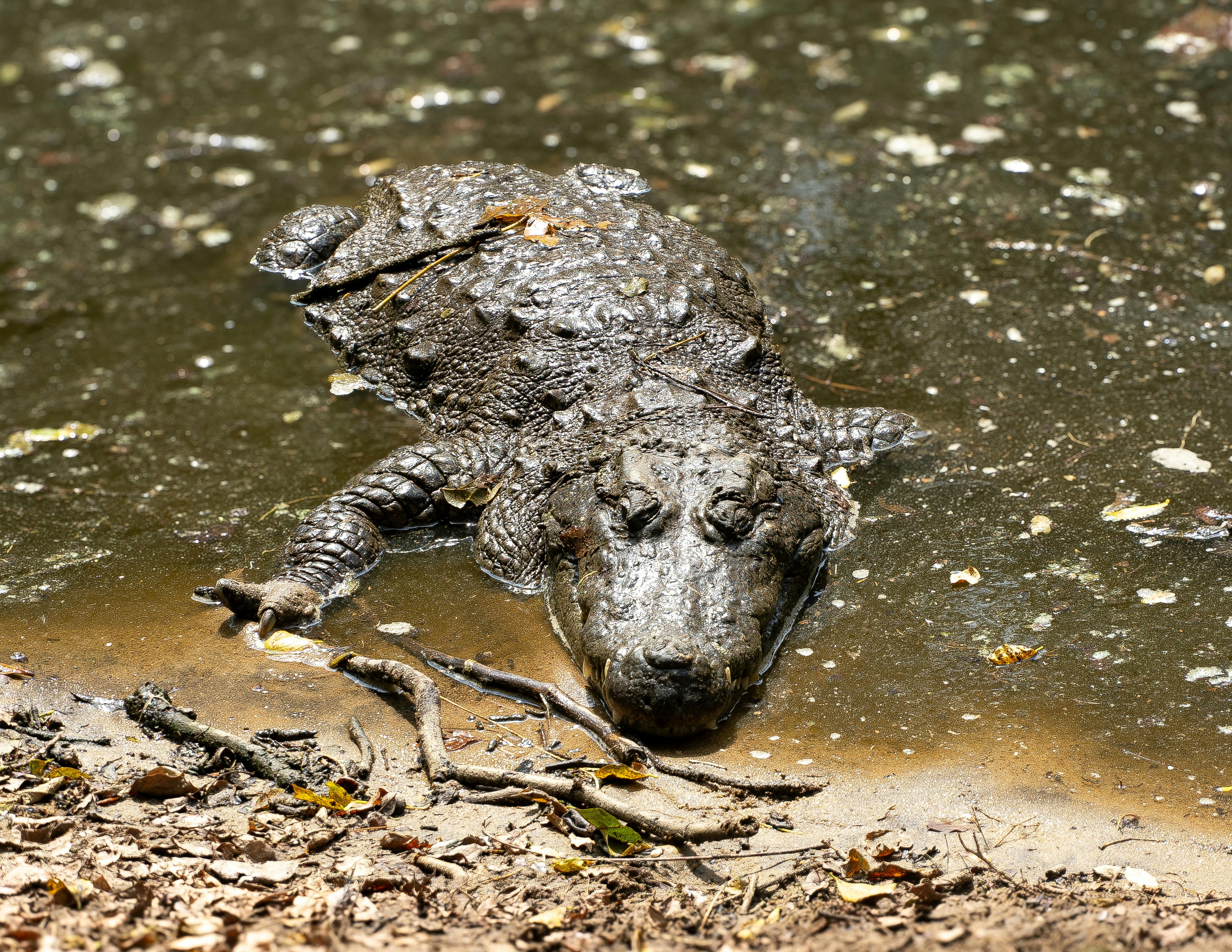 What Is The Impact Of Humidity On The Operation Of An Emergency ...