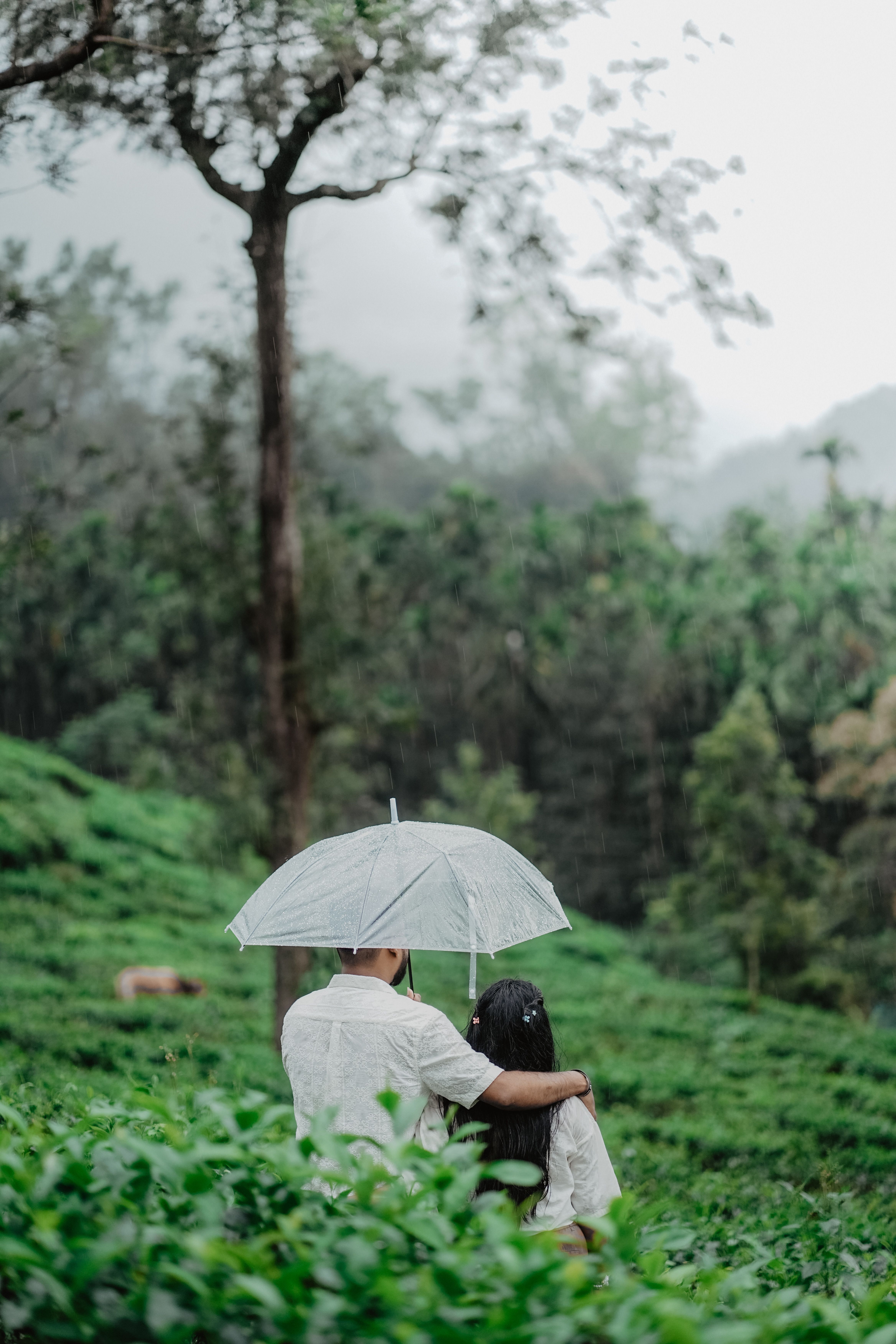 Romantic Couple in Rainy Green Landscape · Free Stock Photo