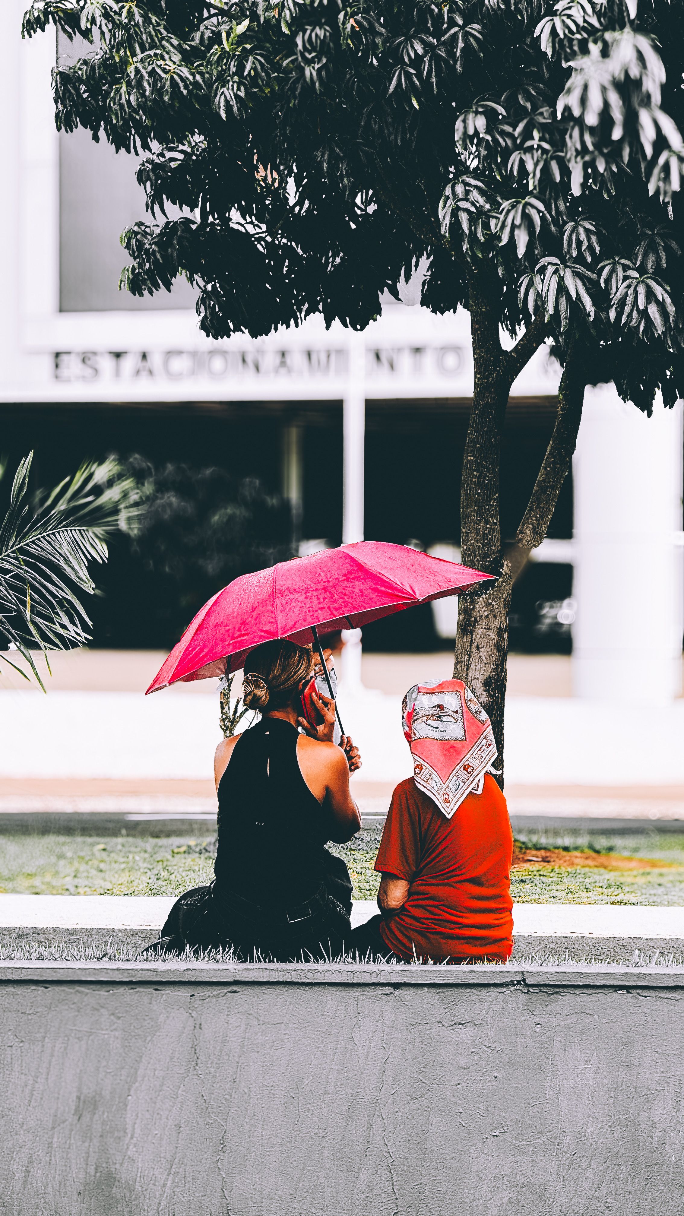 Two People Sharing Red Umbrella in Urban Park · Free Stock Photo