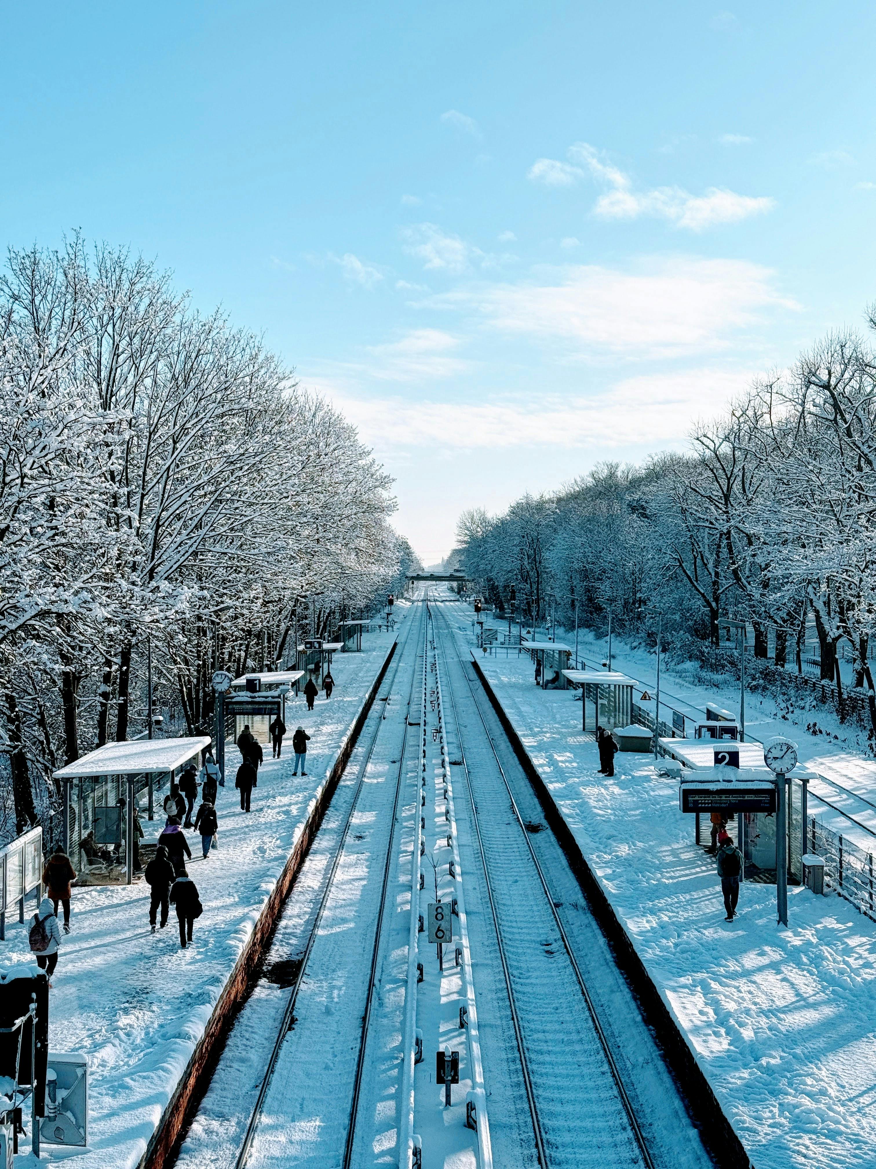 Snowstruck Photos, Download The BEST Free Snowstruck Stock Photos & HD ...