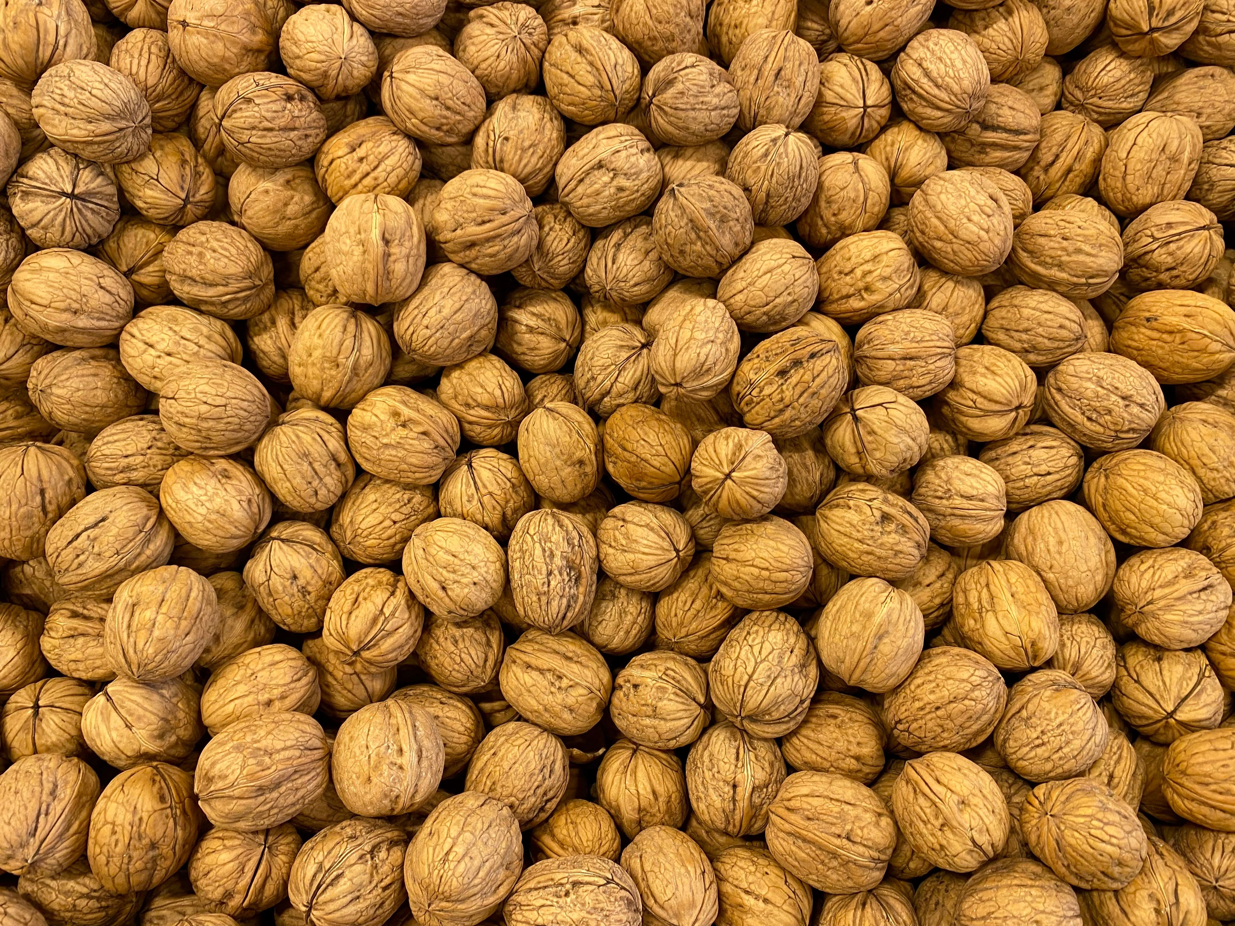 Abundance of Whole Walnuts Piled Together · Free Stock Photo