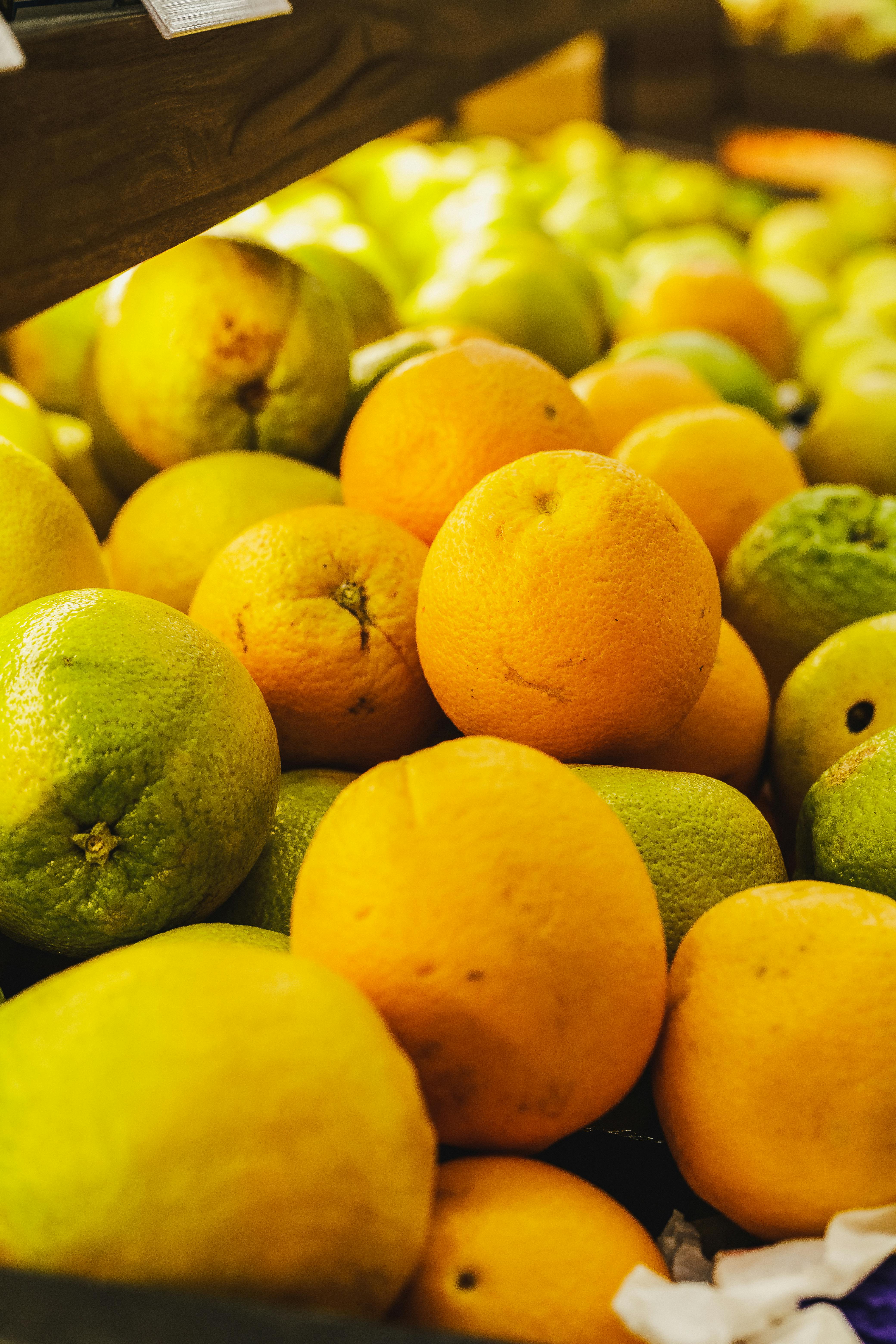 Jeruk Dan Lemon Segar Di Pasar · Foto Stok Gratis