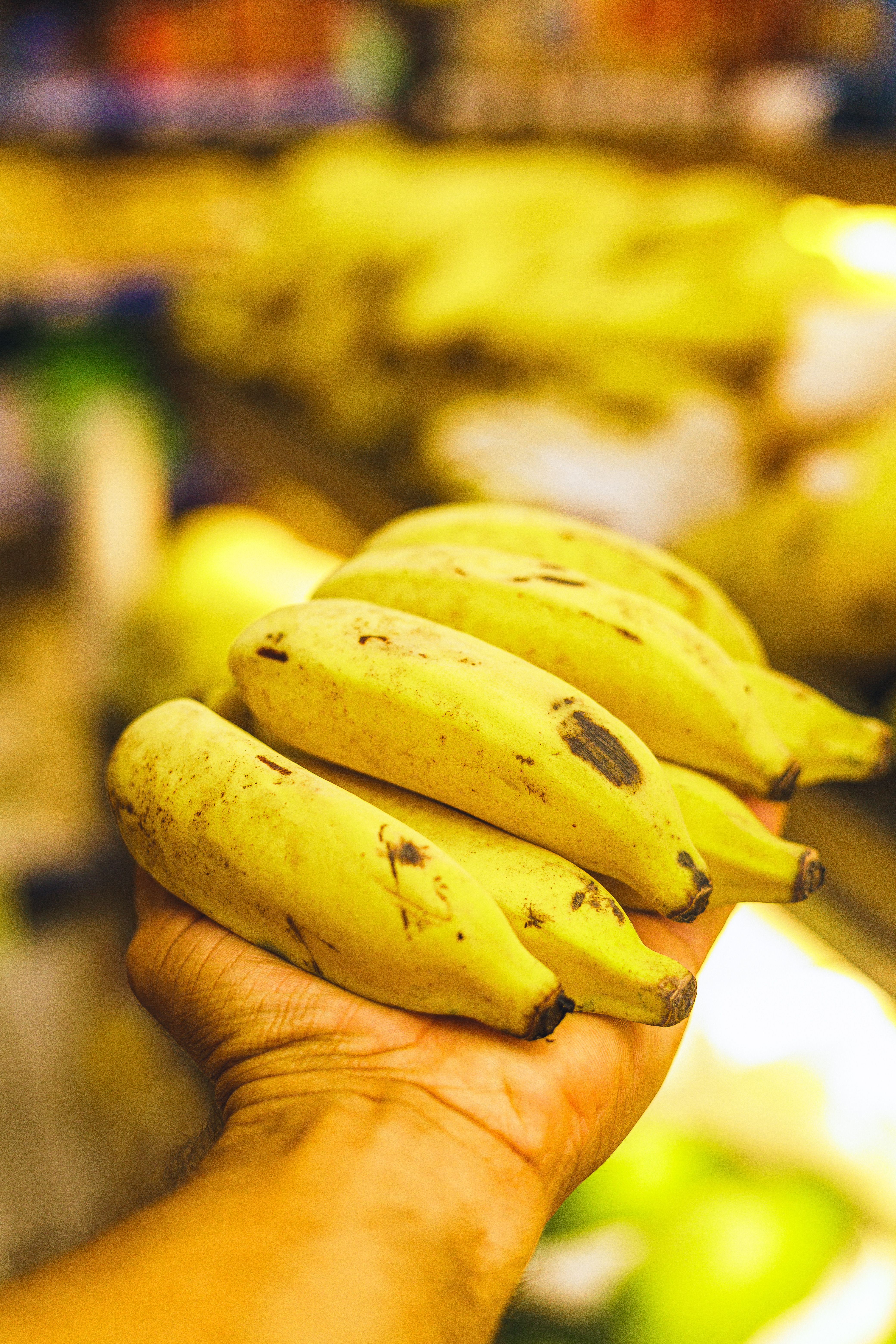 2 Bananas In Hand Photos, Download The BEST Free 2 Bananas In Hand ...