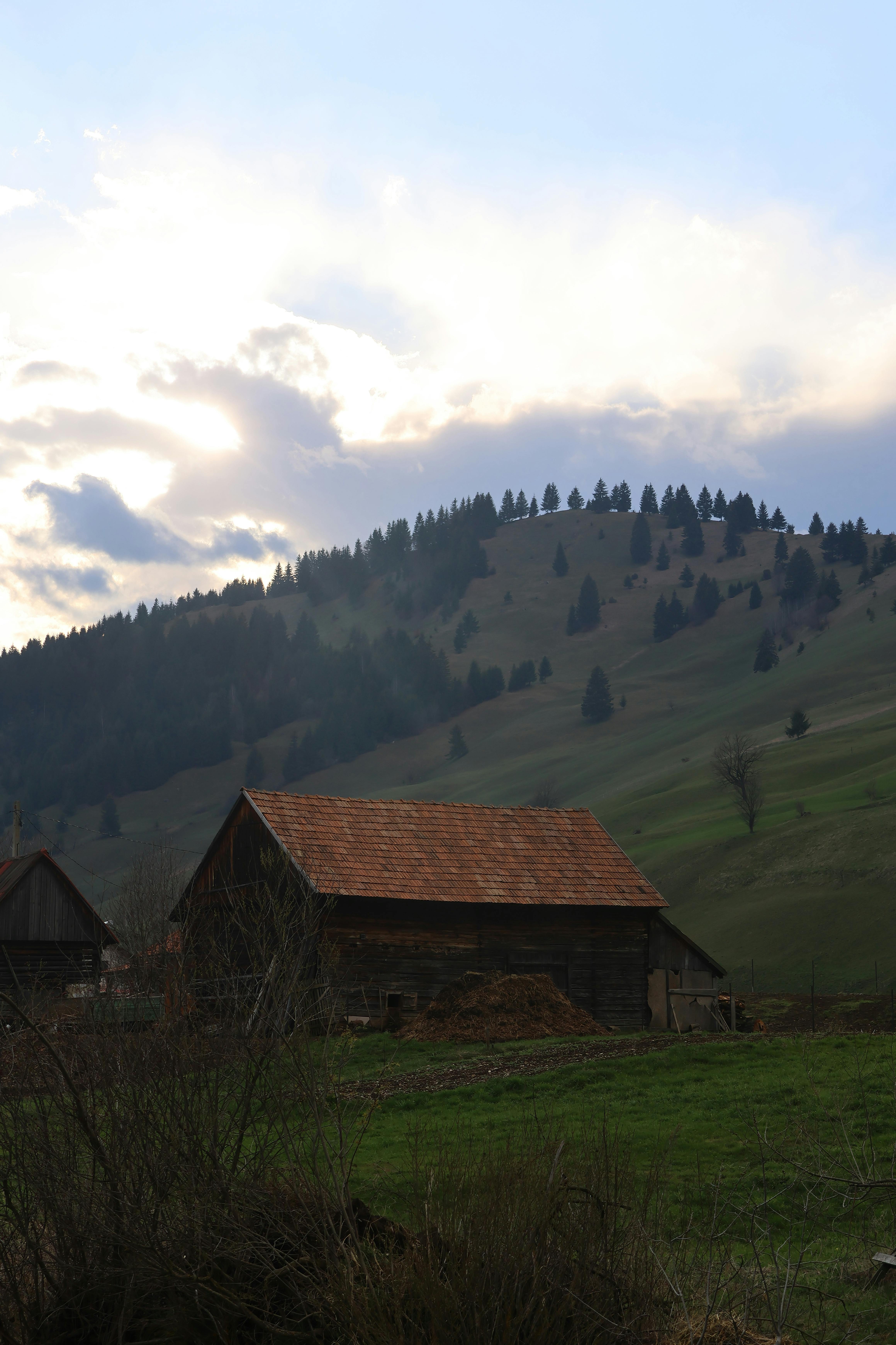 Mountain Scape With Trees Photos, Download The BEST Free Mountain Scape ...