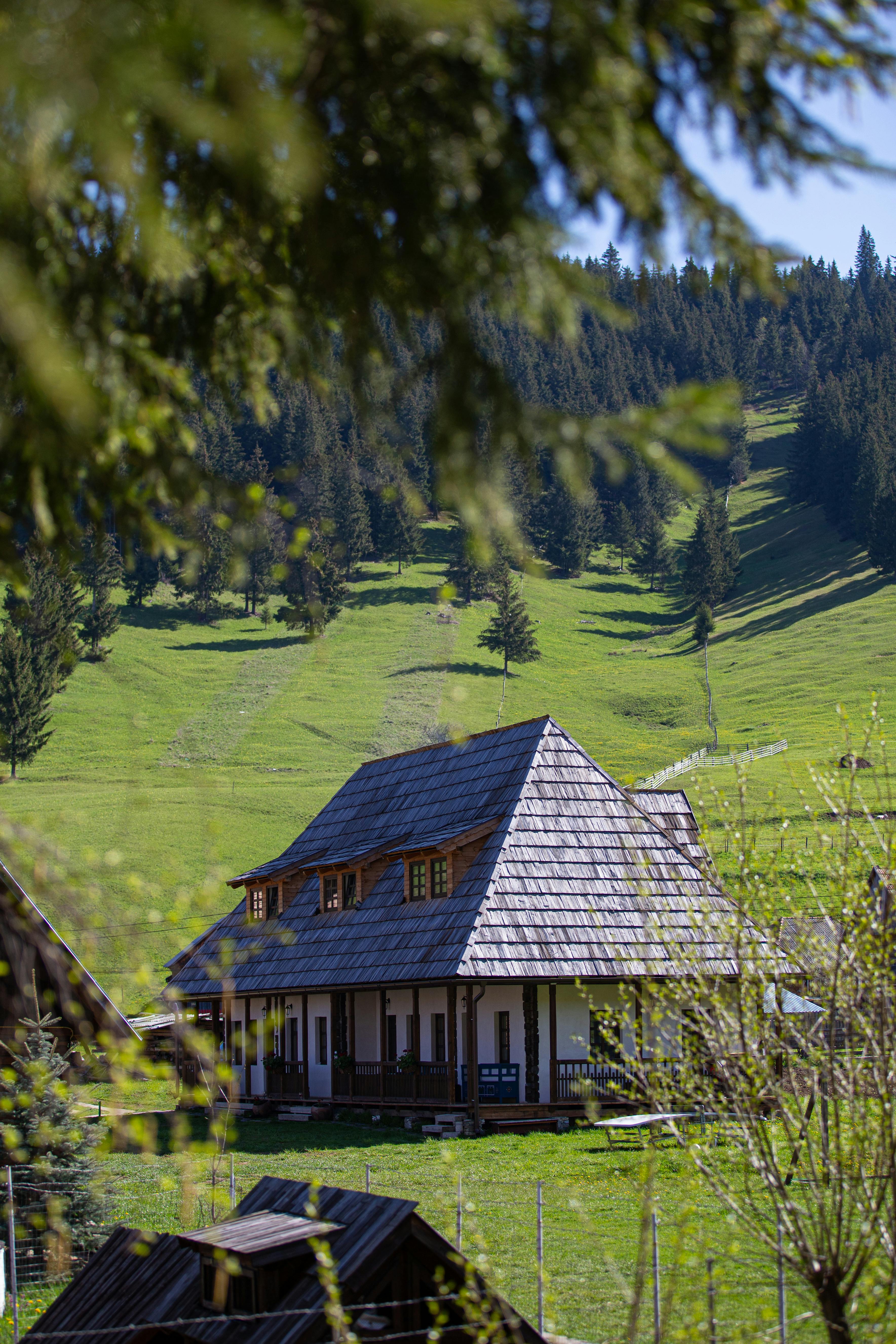 Charming Cottage in Ghimeș Mountains, Romania · Free Stock Photo