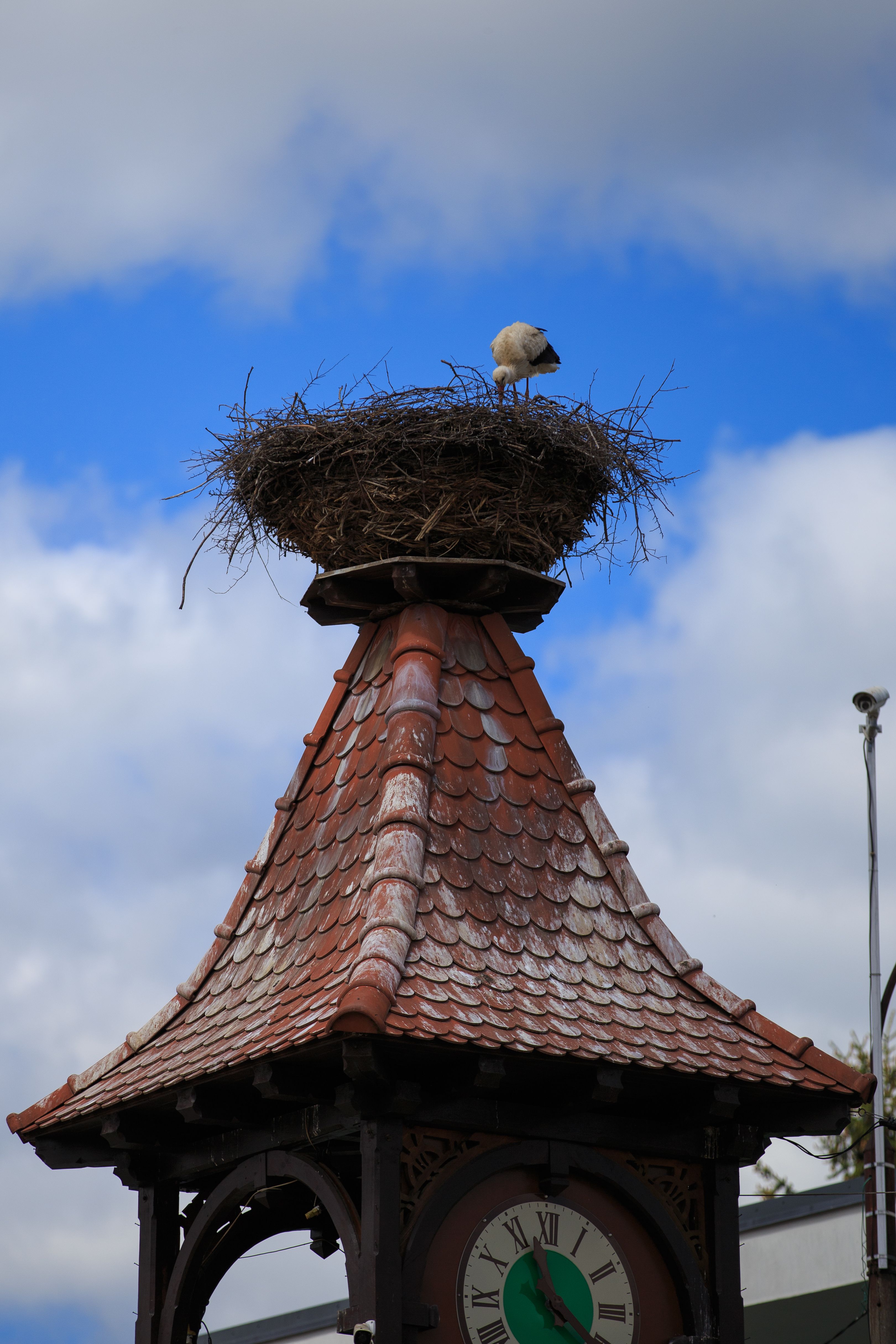 Stork Nest on Clock Tower Against Blue Sky · Free Stock Photo
